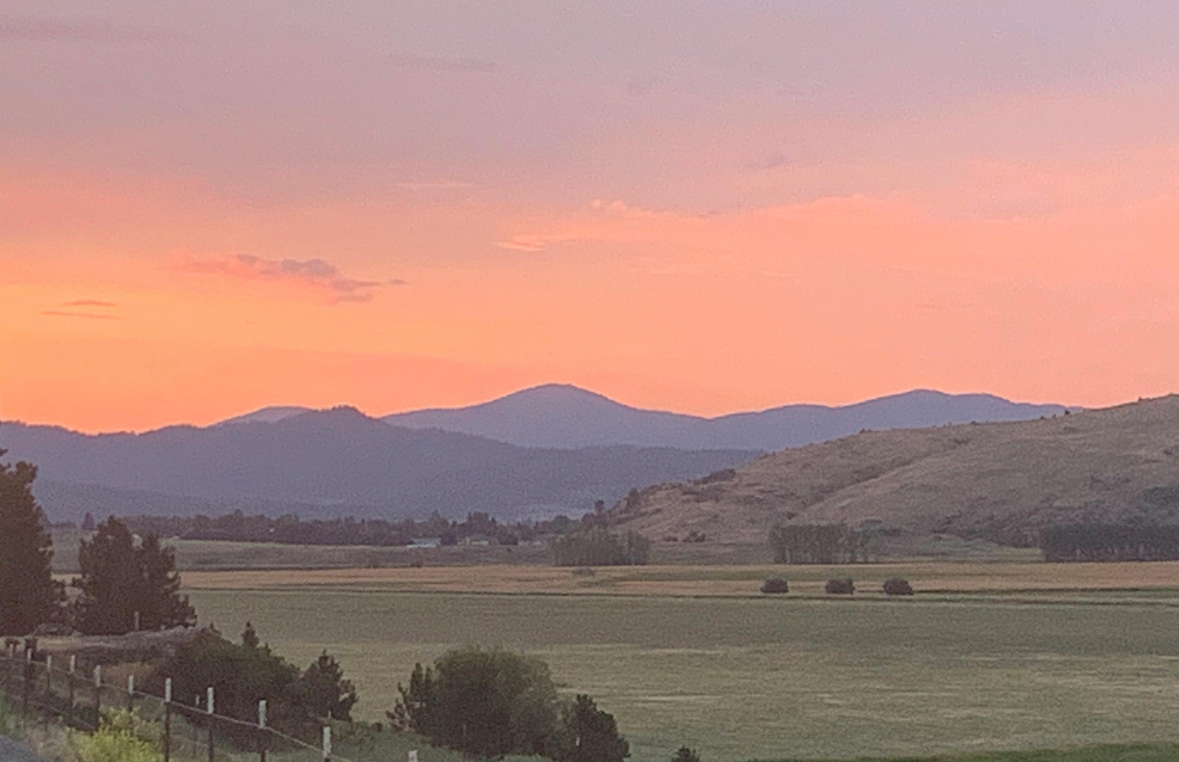 Renee Sande - 攝影