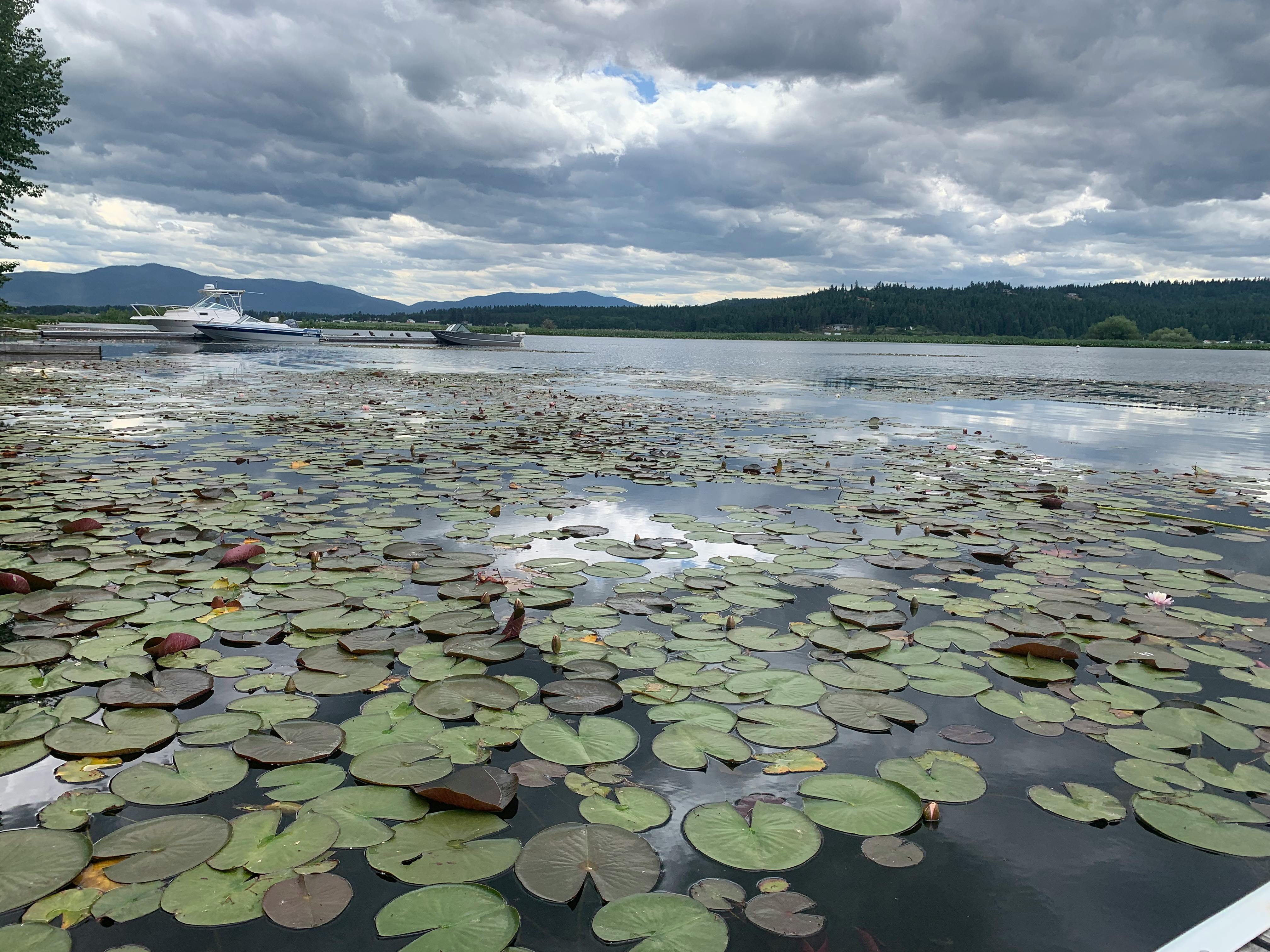 Renee Sande – Fotografia