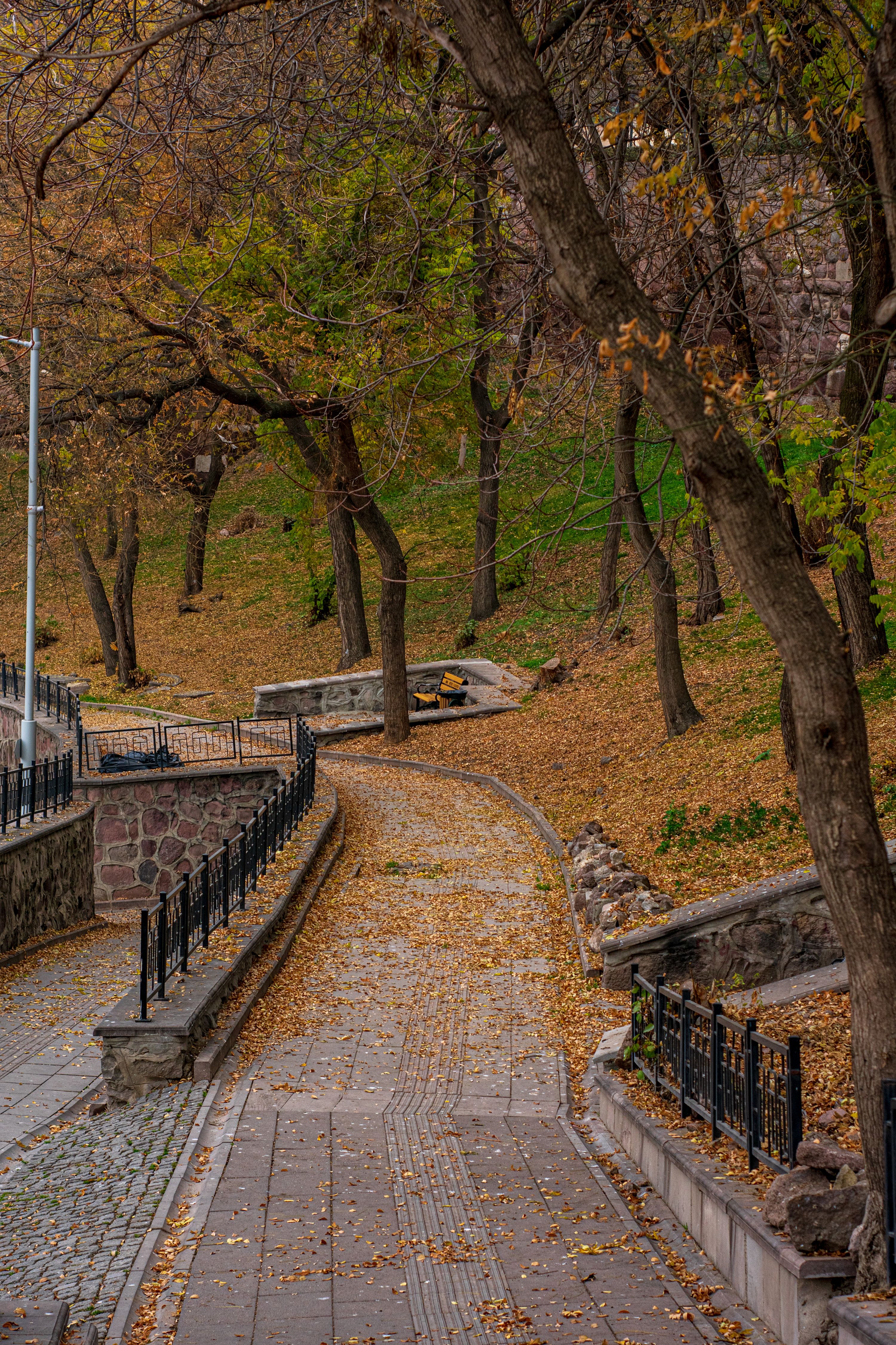 Green Trees around Pavement in Park · Free Stock Photo