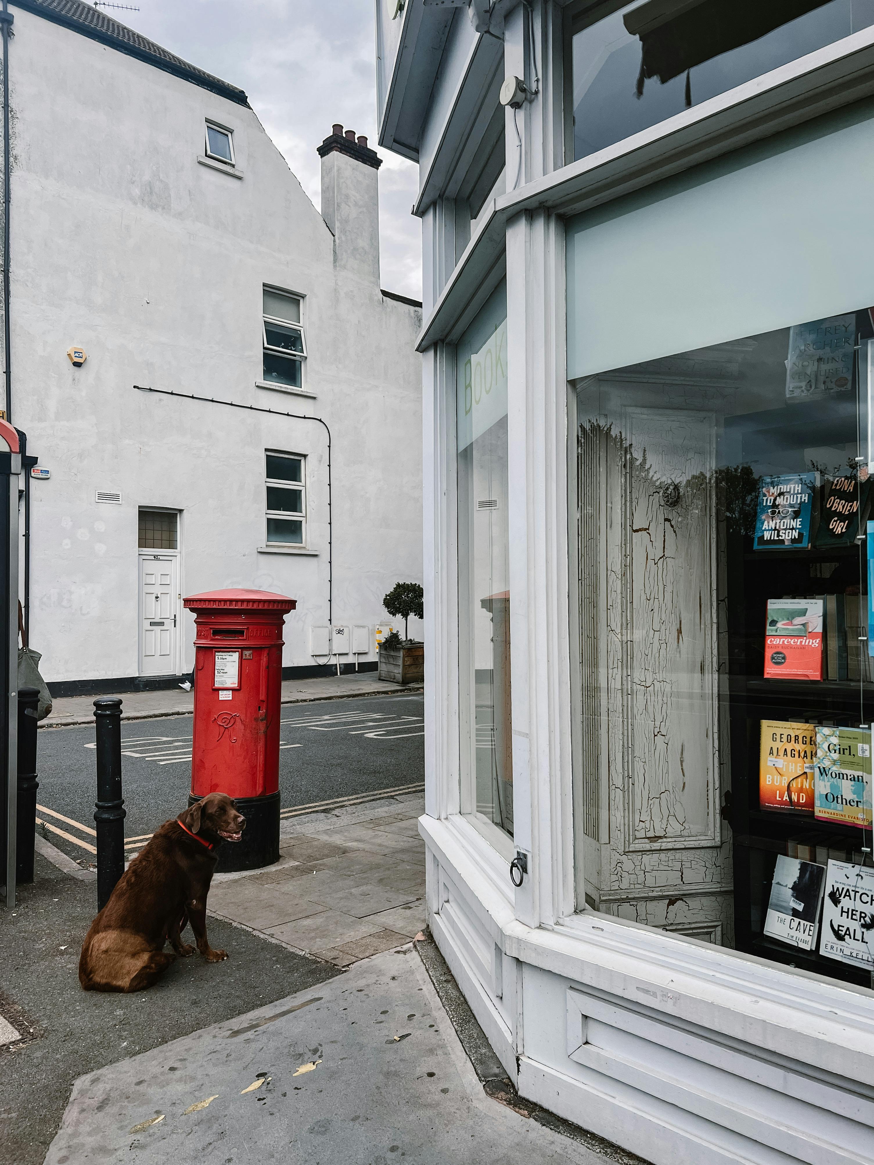 Letterbox For Books Photos, Download The BEST Free Letterbox For Books ...