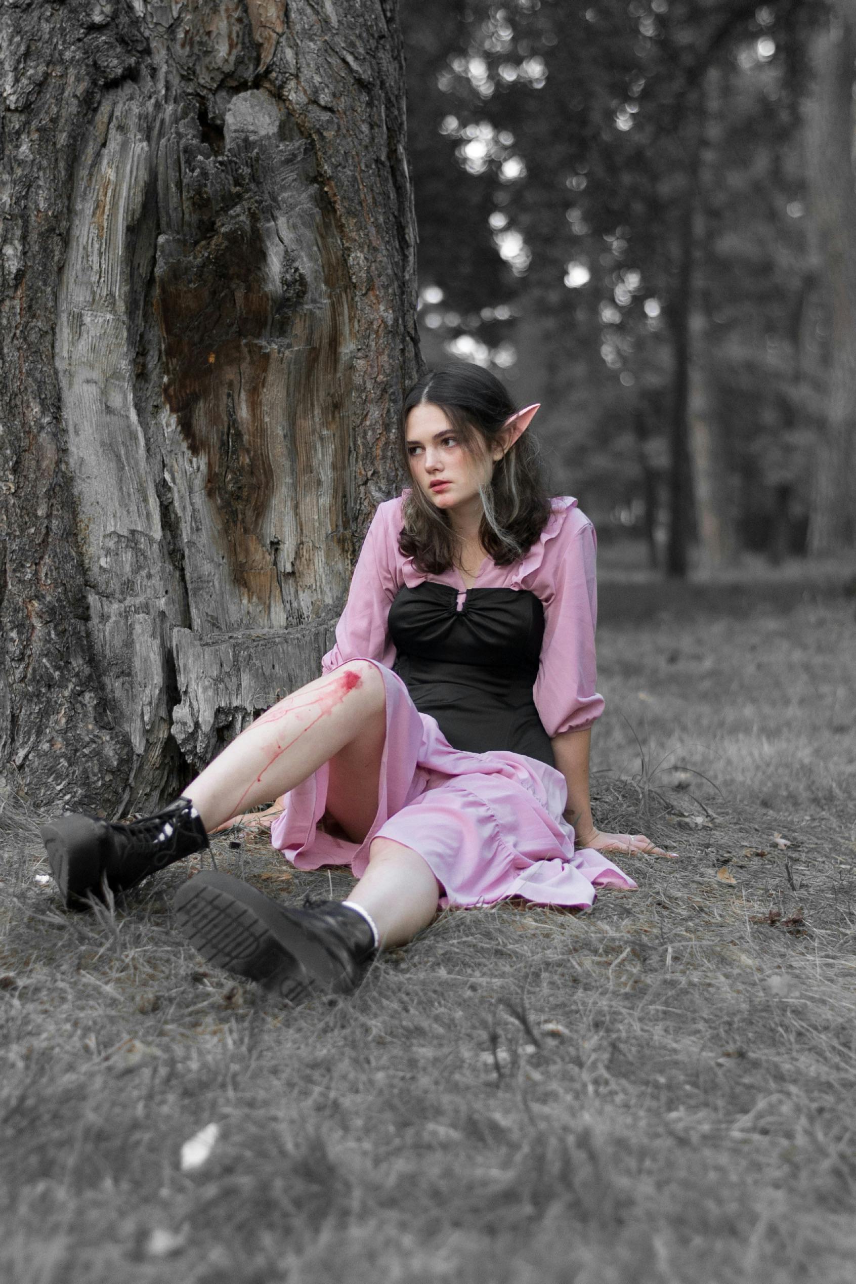 Beautiful Pointy Photos, Download The BEST Free Beautiful Pointy Stock ...