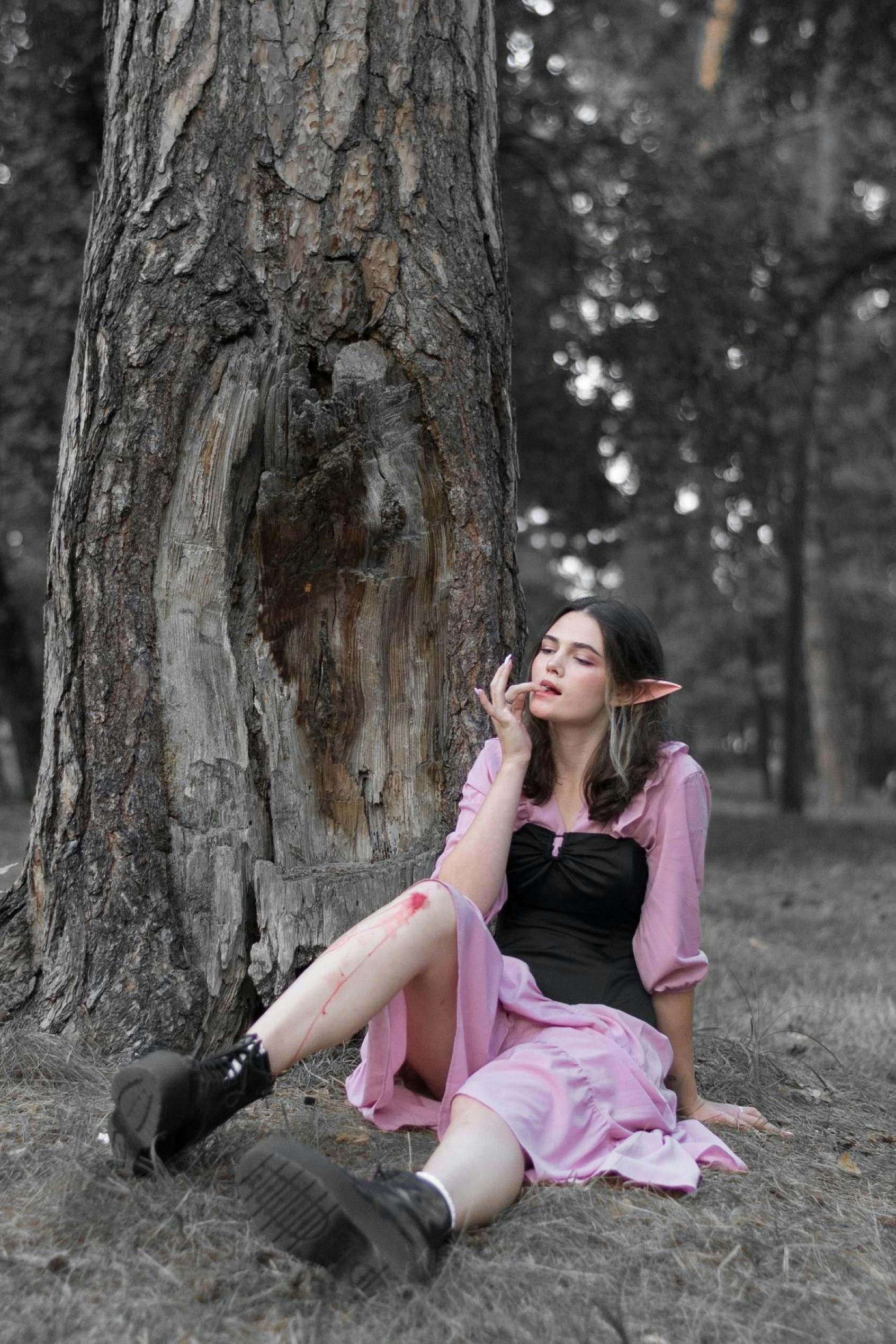 Pointy Ear Photos, Download The BEST Free Pointy Ear Stock Photos & HD ...