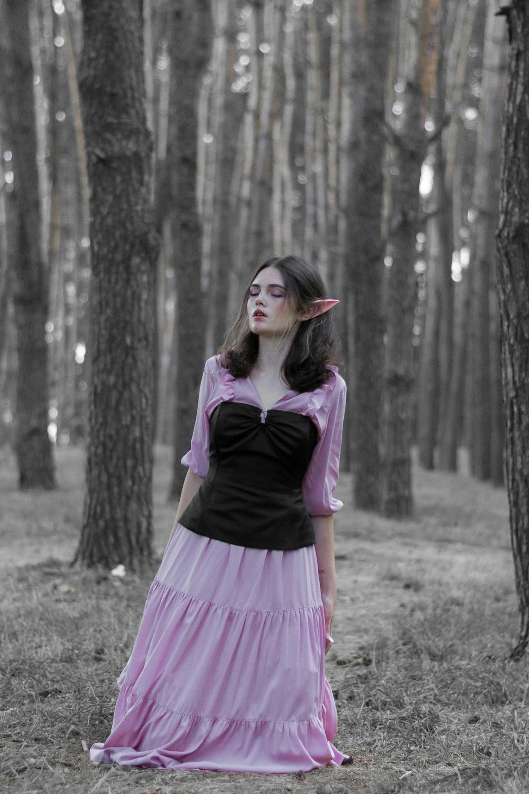 Beautiful Pointy Photos, Download The BEST Free Beautiful Pointy Stock ...