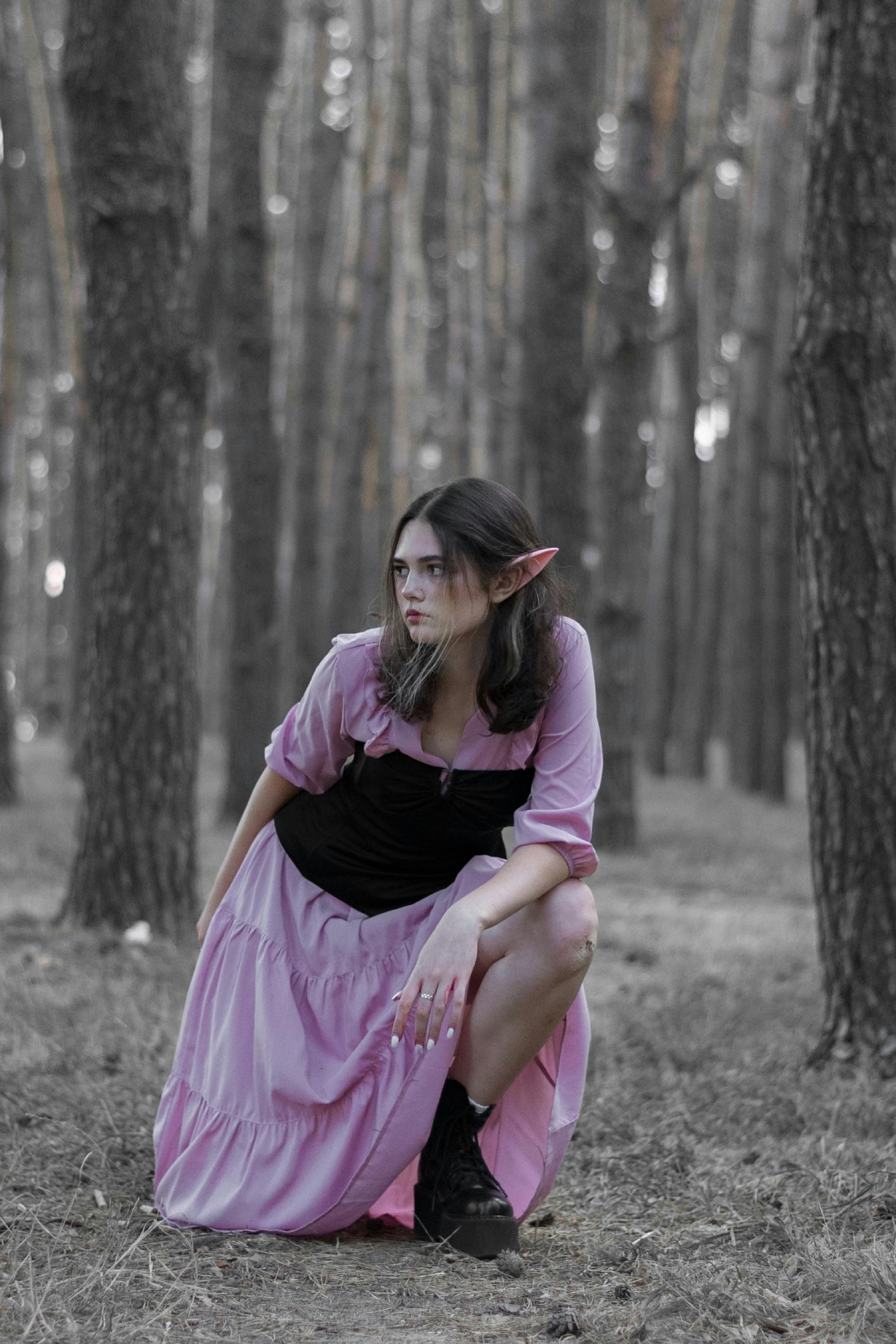 Beautiful Pointy Photos, Download The BEST Free Beautiful Pointy Stock ...