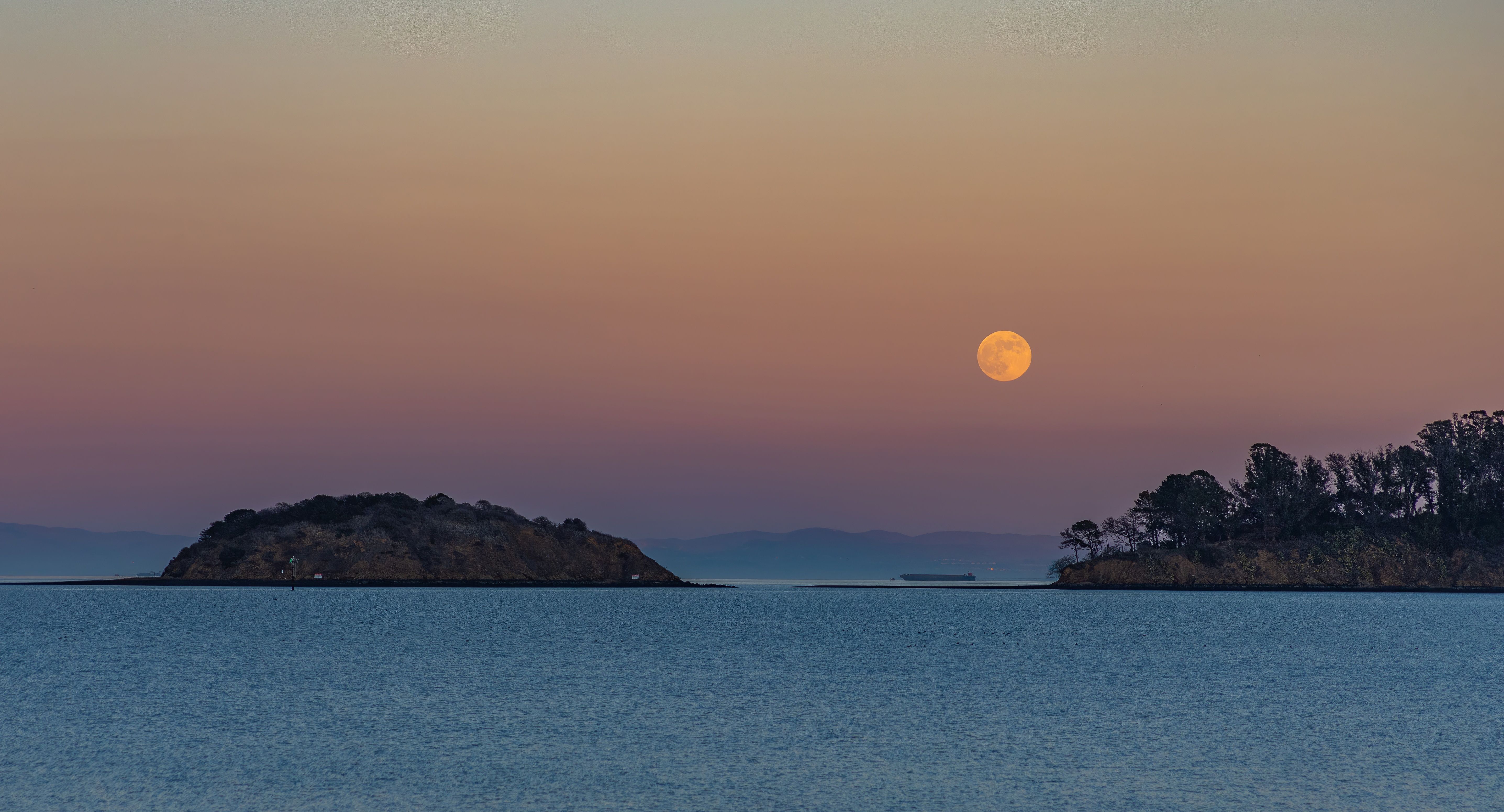 Dusk with Full Moon over Sea Shore · Free Stock Photo