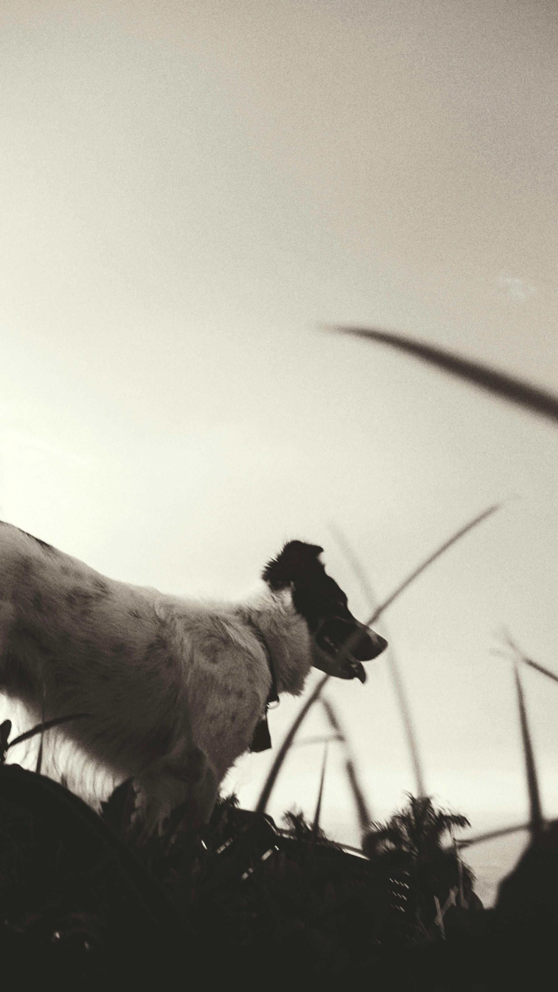 Rey Rey - Photography