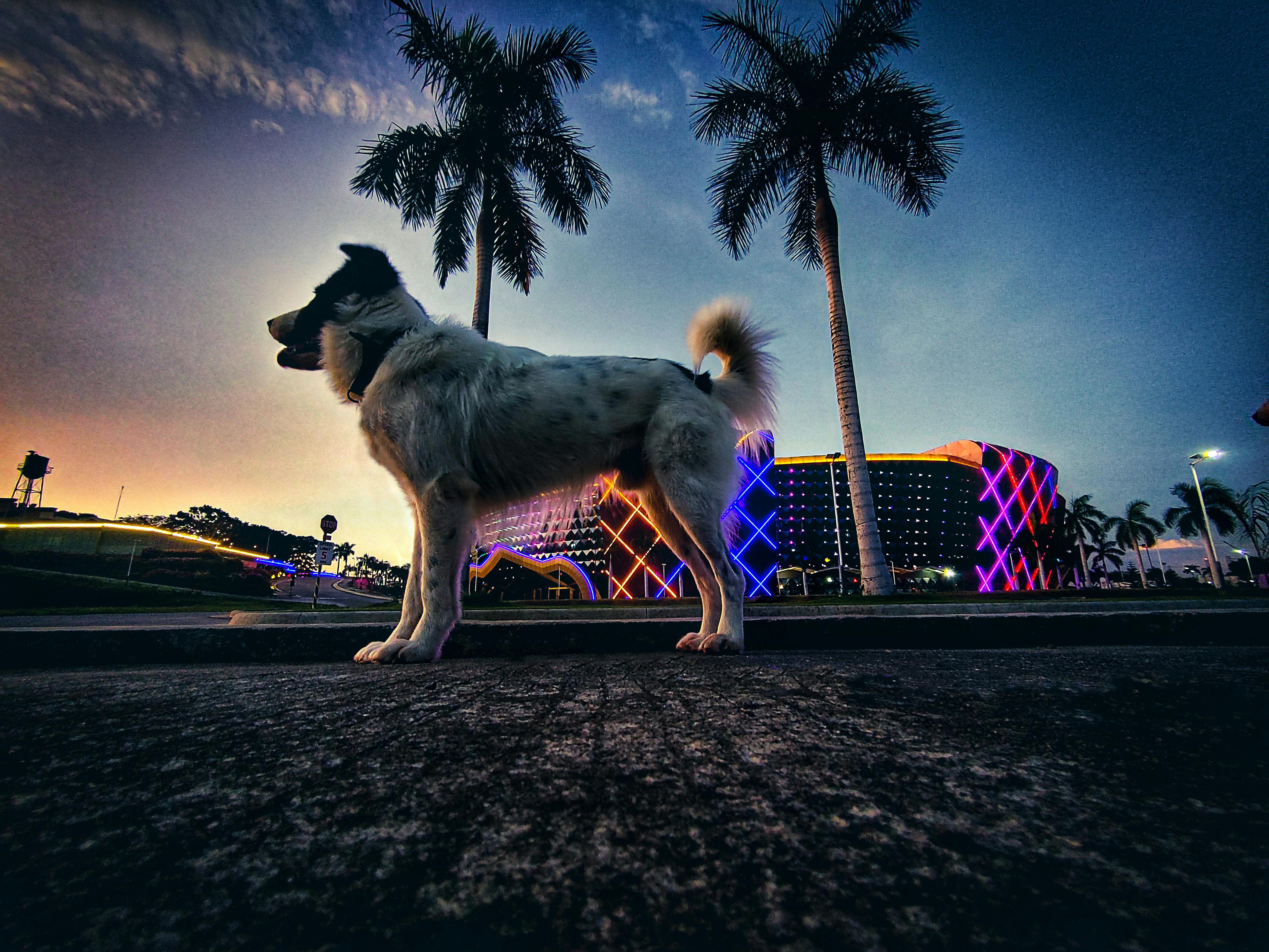 Rey Rey - Photography