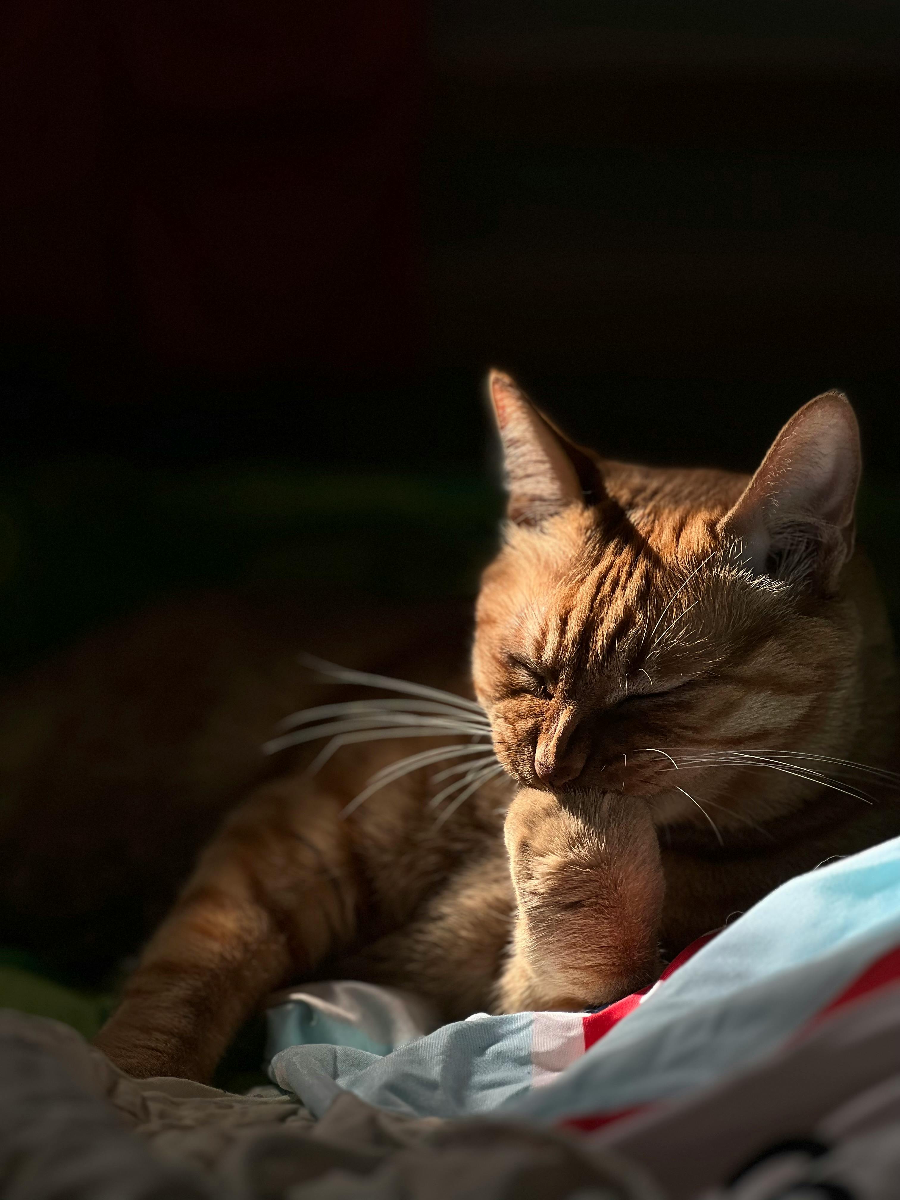 Paul Chau – Fotografia