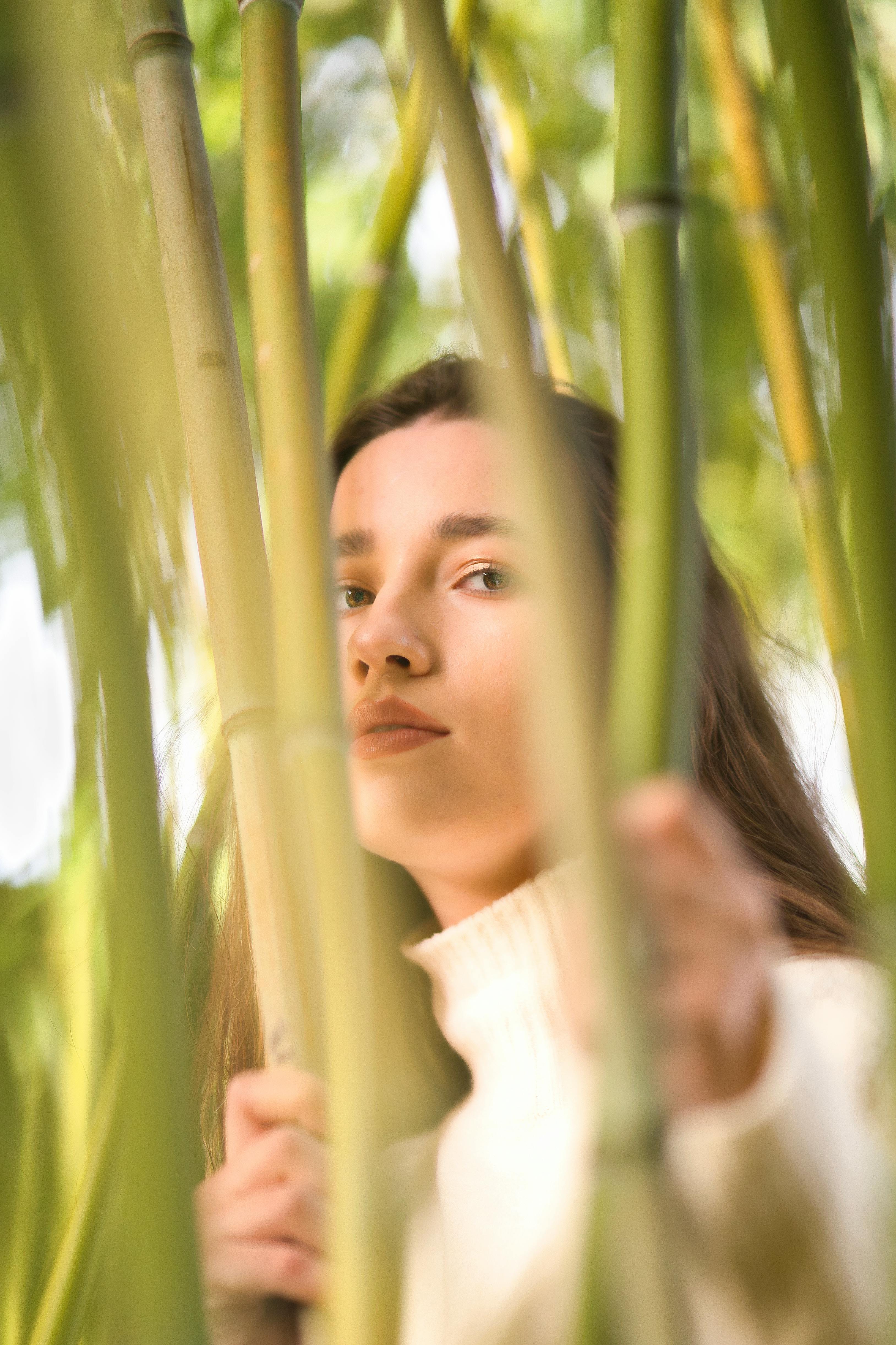 Flowing Water on Bamboo Stalks · Free Stock Photo