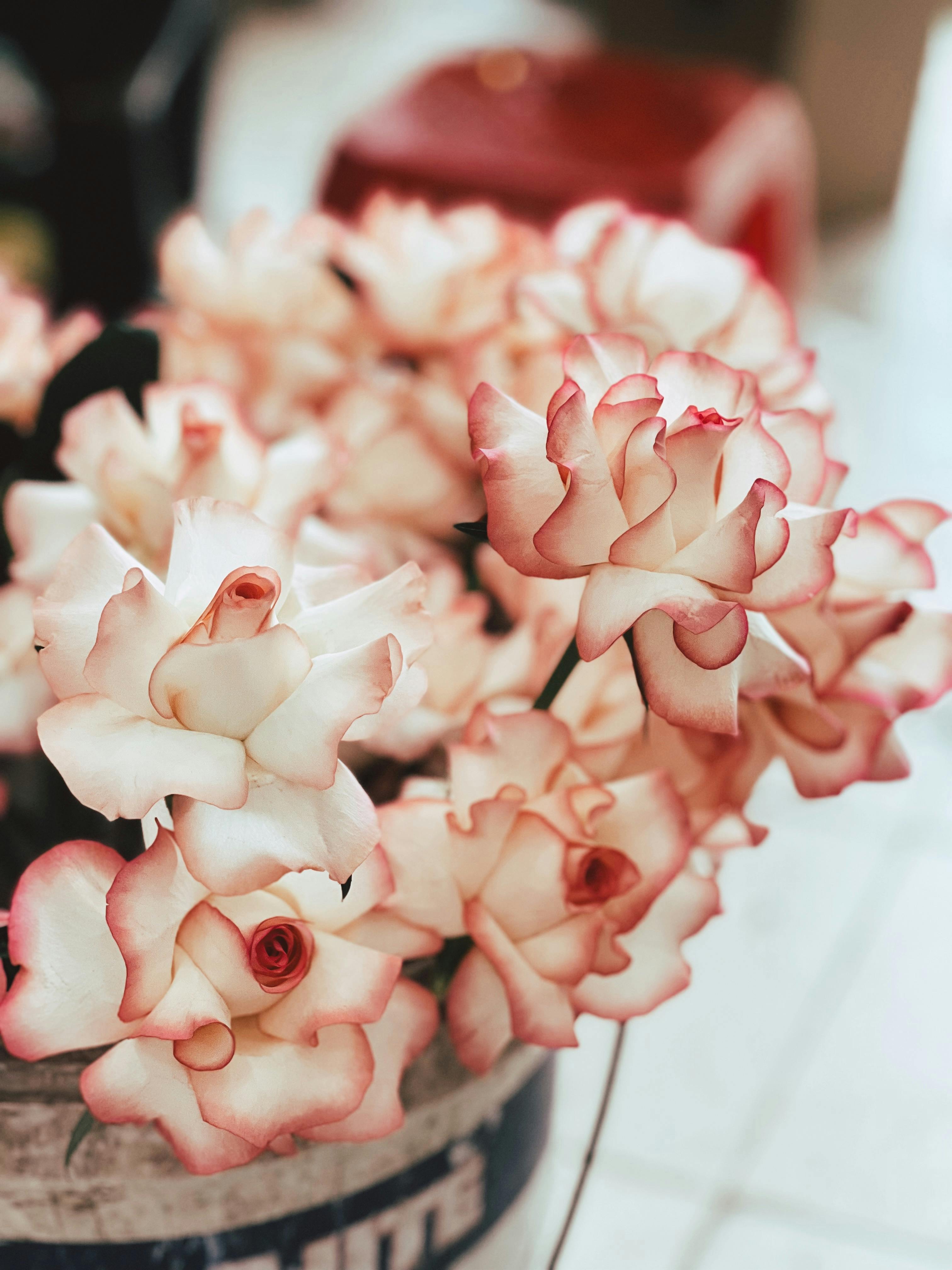 Big Bunch of Beautiful Pink Roses · Free Stock Photo