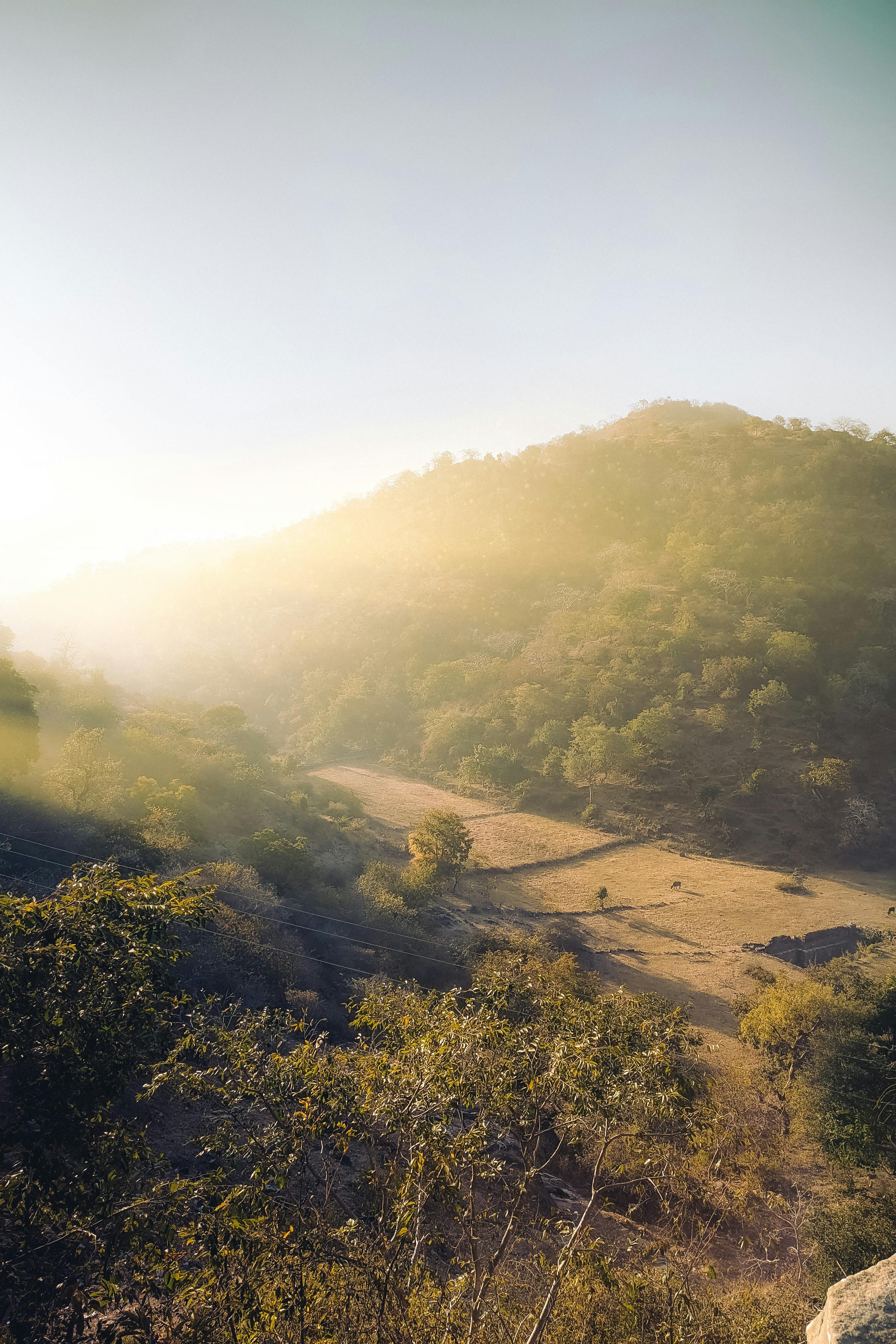 Saurav Rathi - Photography