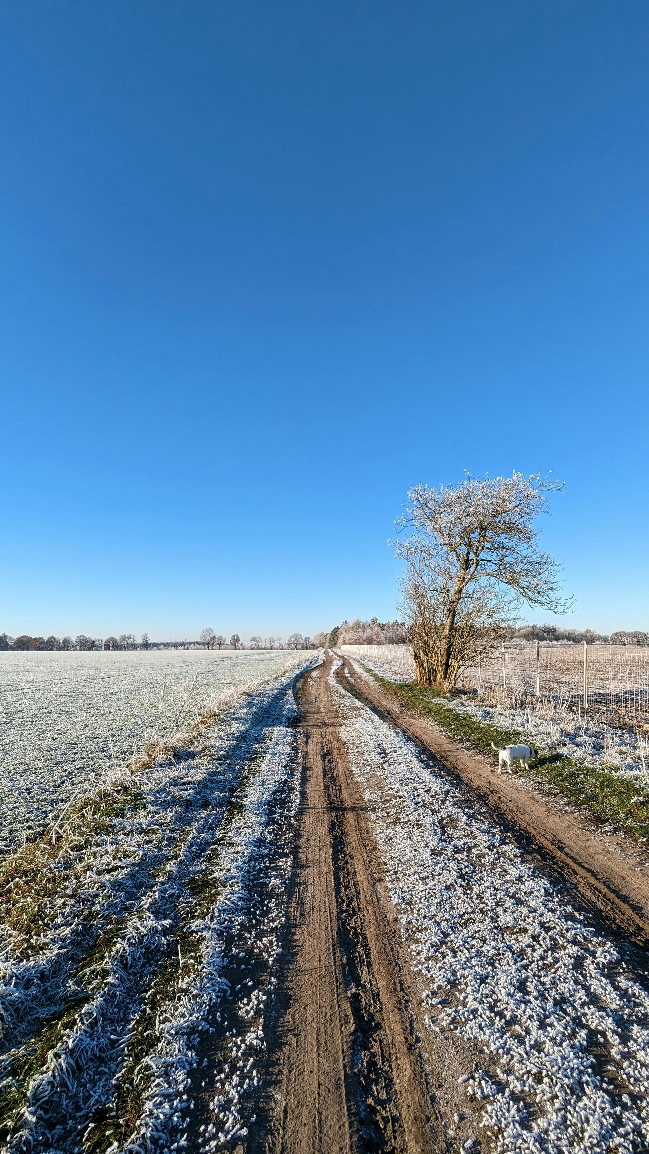 Landsacpe Photos, Download The BEST Free Landsacpe Stock Photos & HD Images