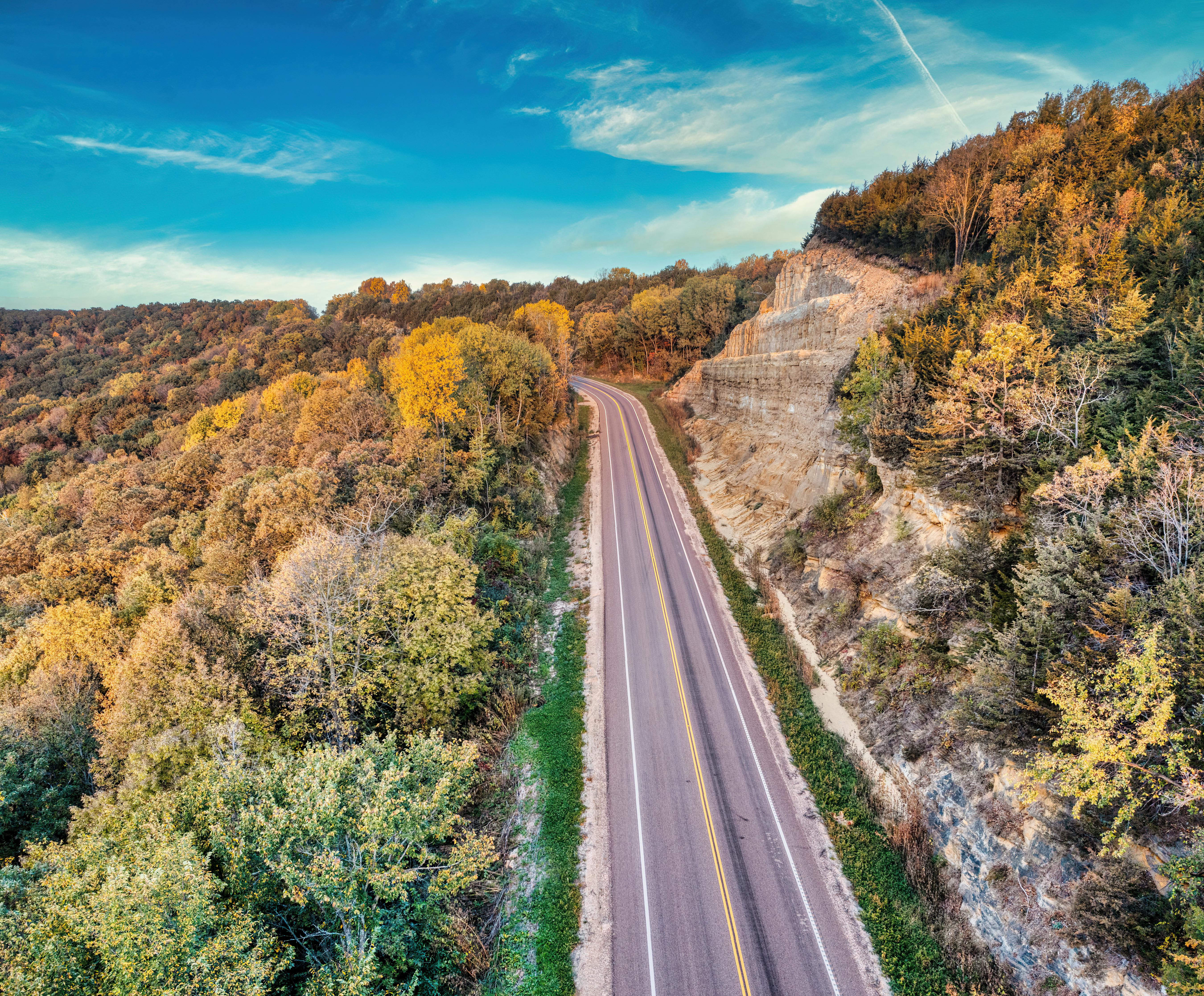 Road in the Forest · Free Stock Photo