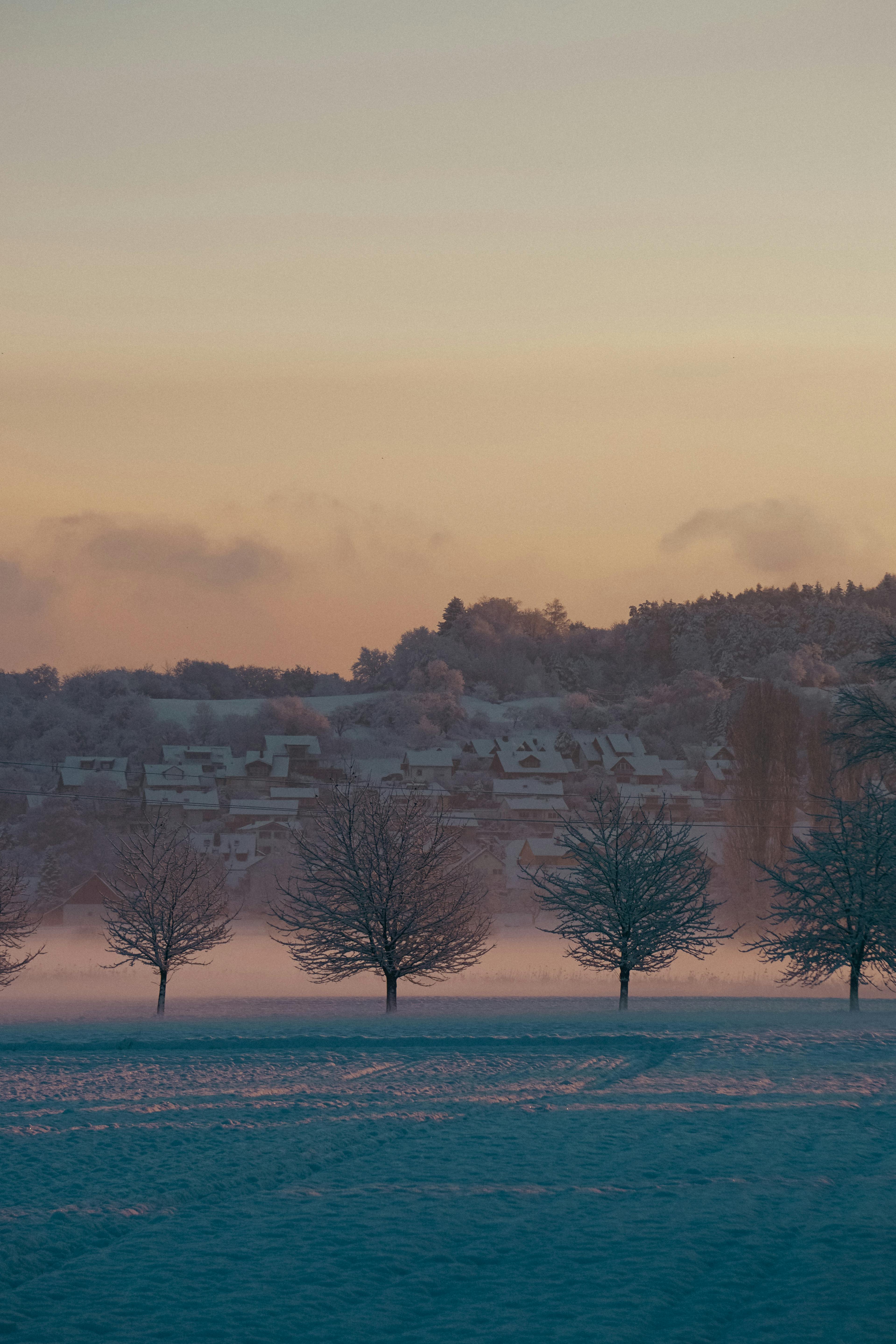 Winter Fields Photos Download The Best Free Winter Fields Stock Photos