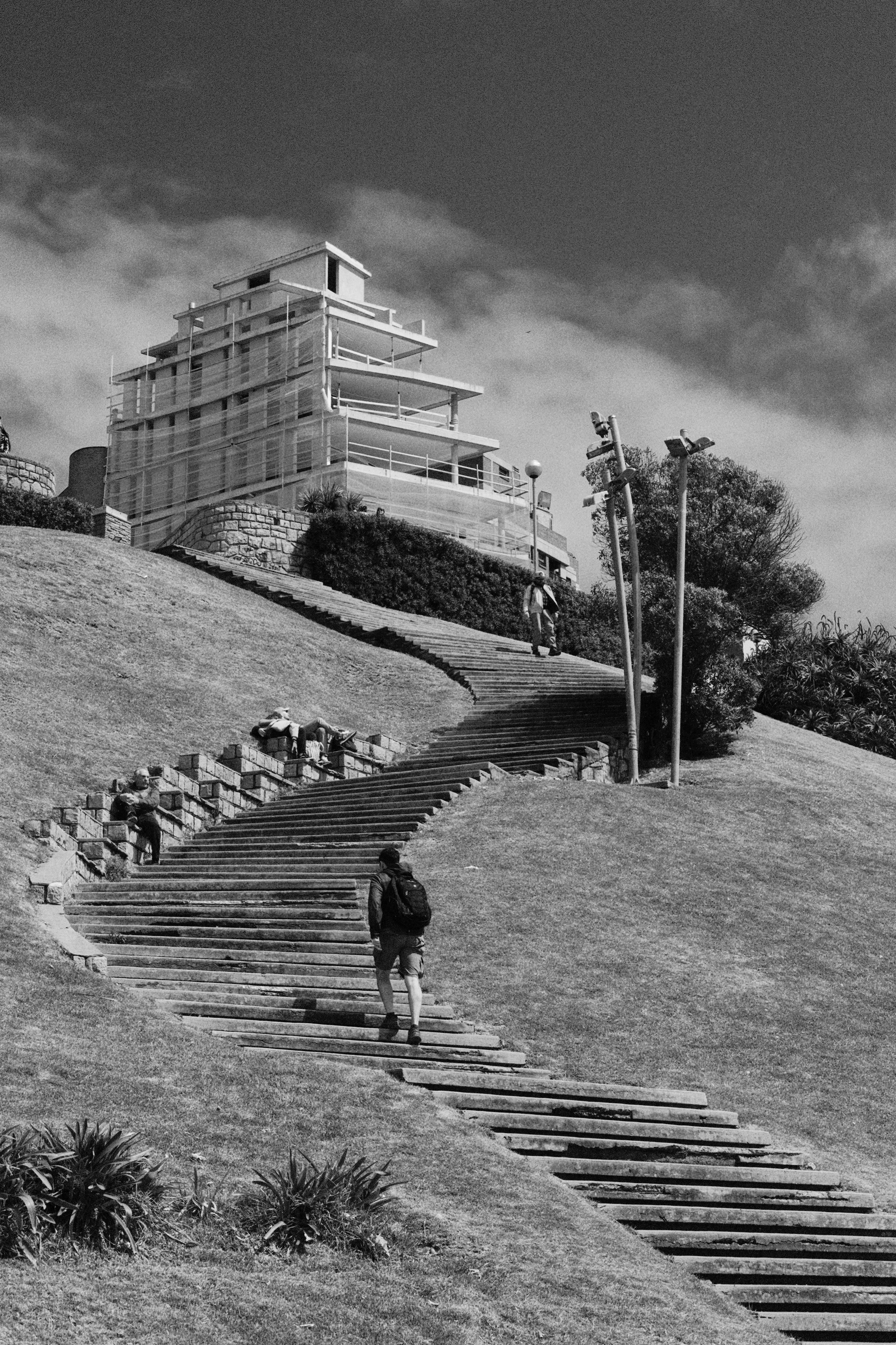 Back View of Person Walking Up the Steps to a Building · Free Stock Photo
