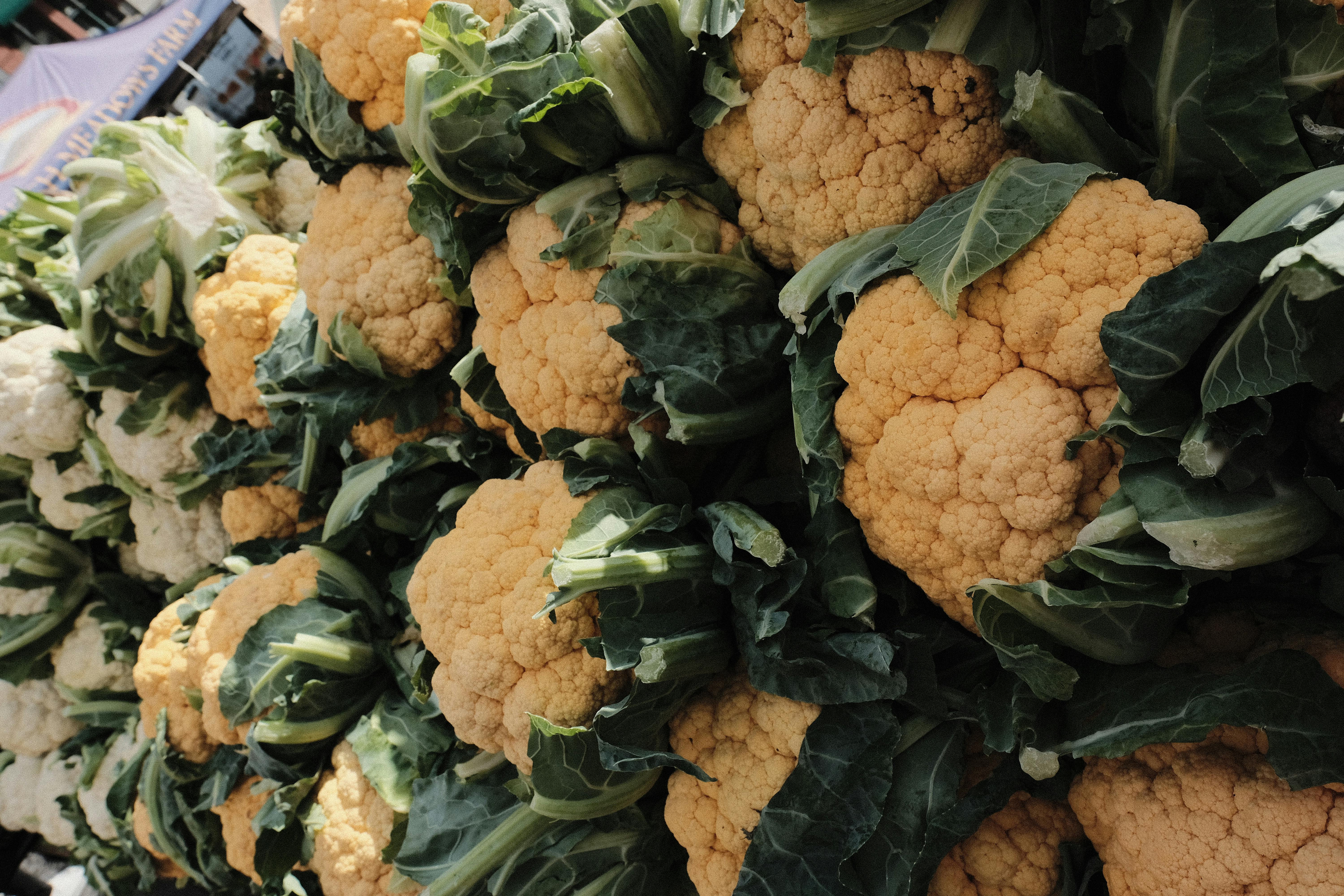 Fresh Cauliflower Vegetables · Free Stock Photo