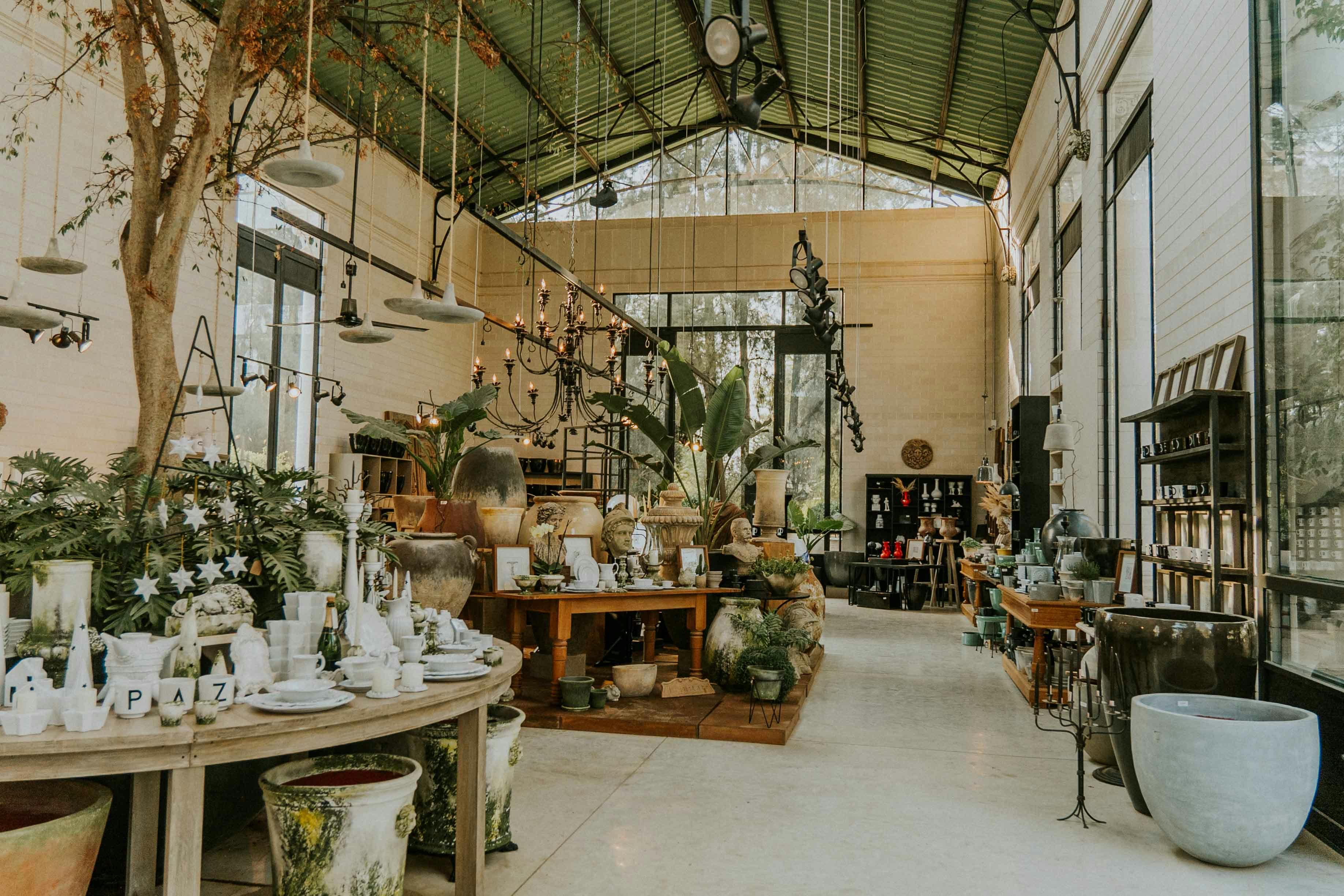 Interior of a Shop with Pottery, Ceramics and Plants · Free Stock Photo