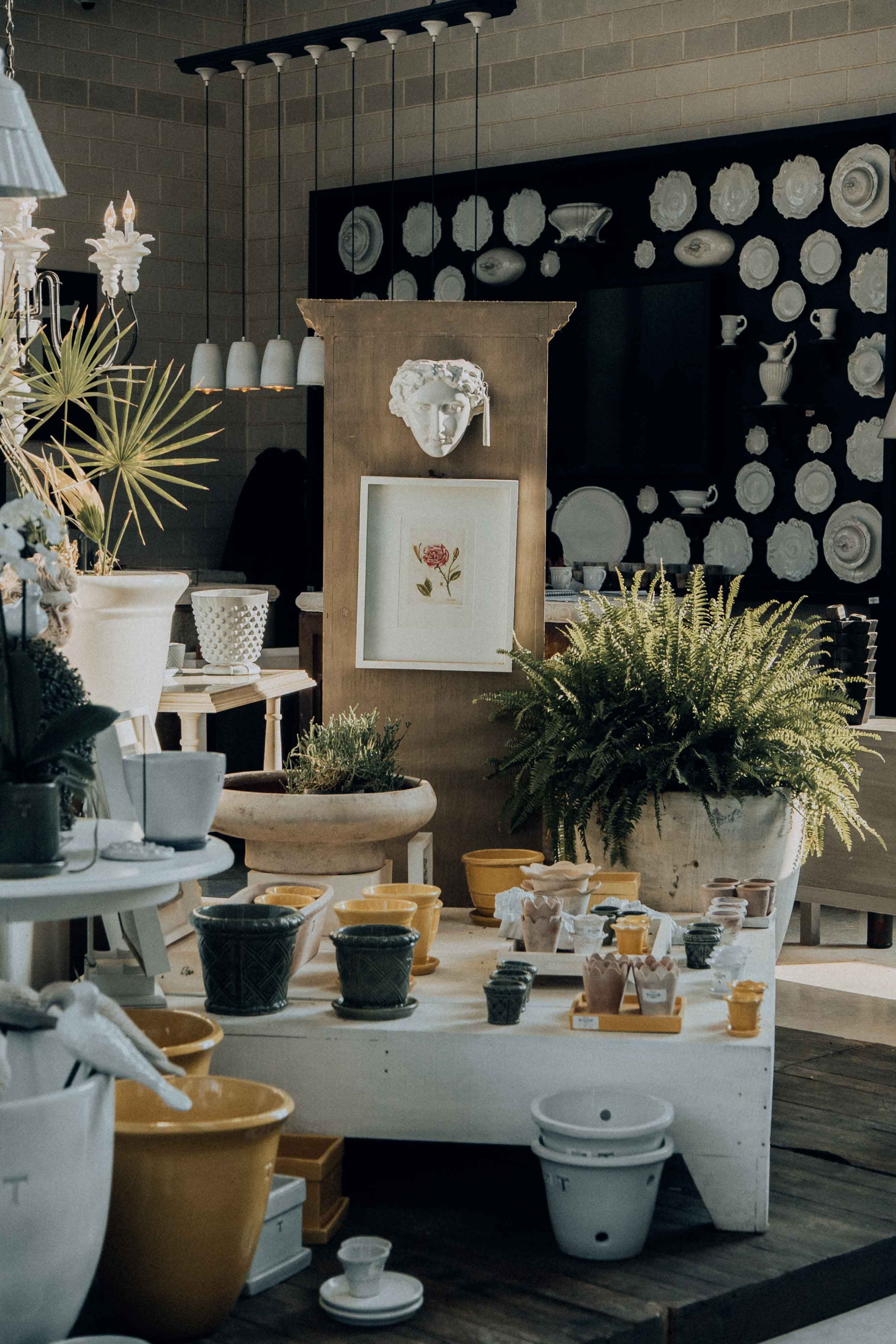 Florist Store Window · Free Stock Photo