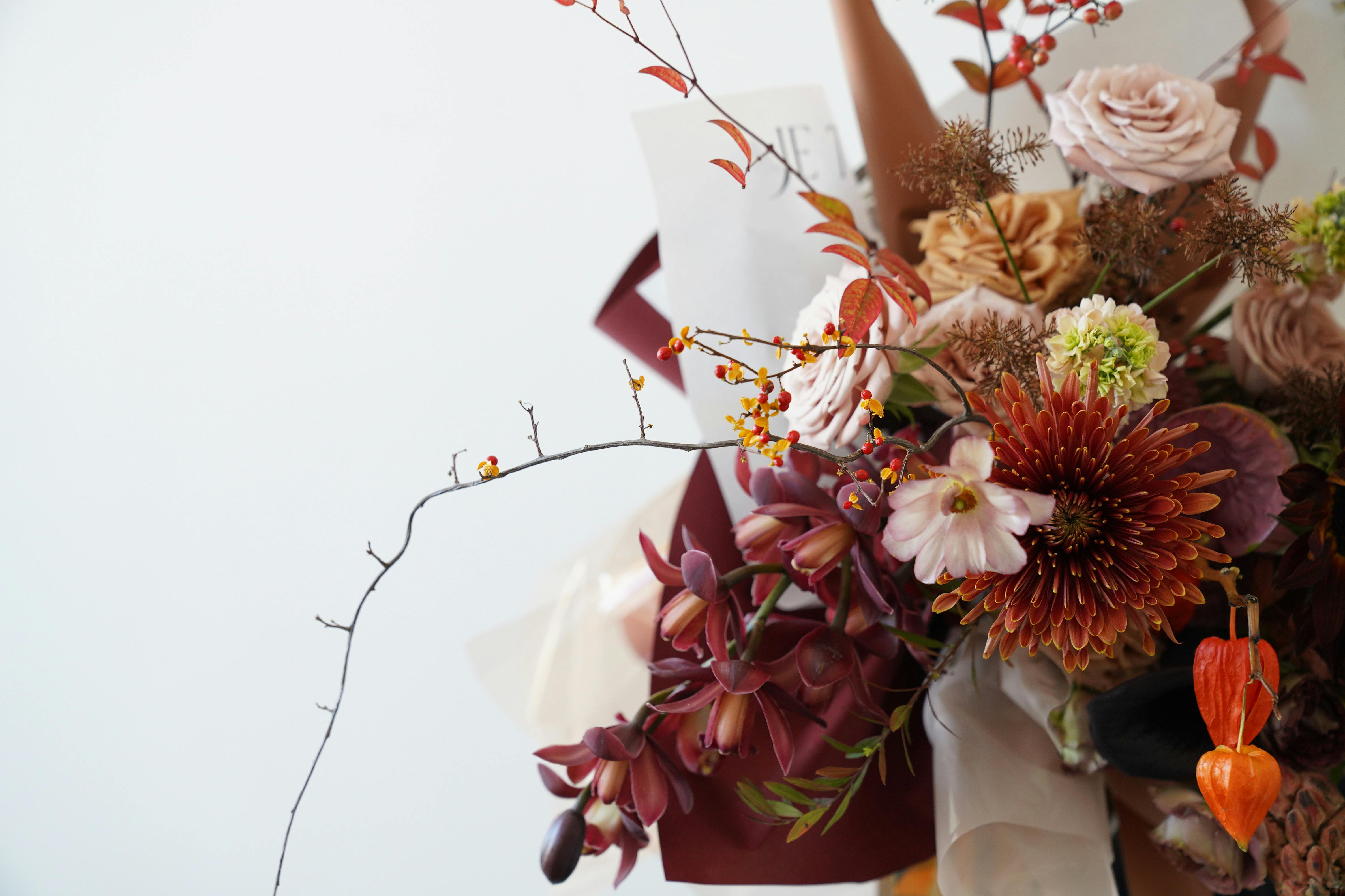 Autumn Flowers Background Photos, Download The BEST Free Autumn Flowers ...