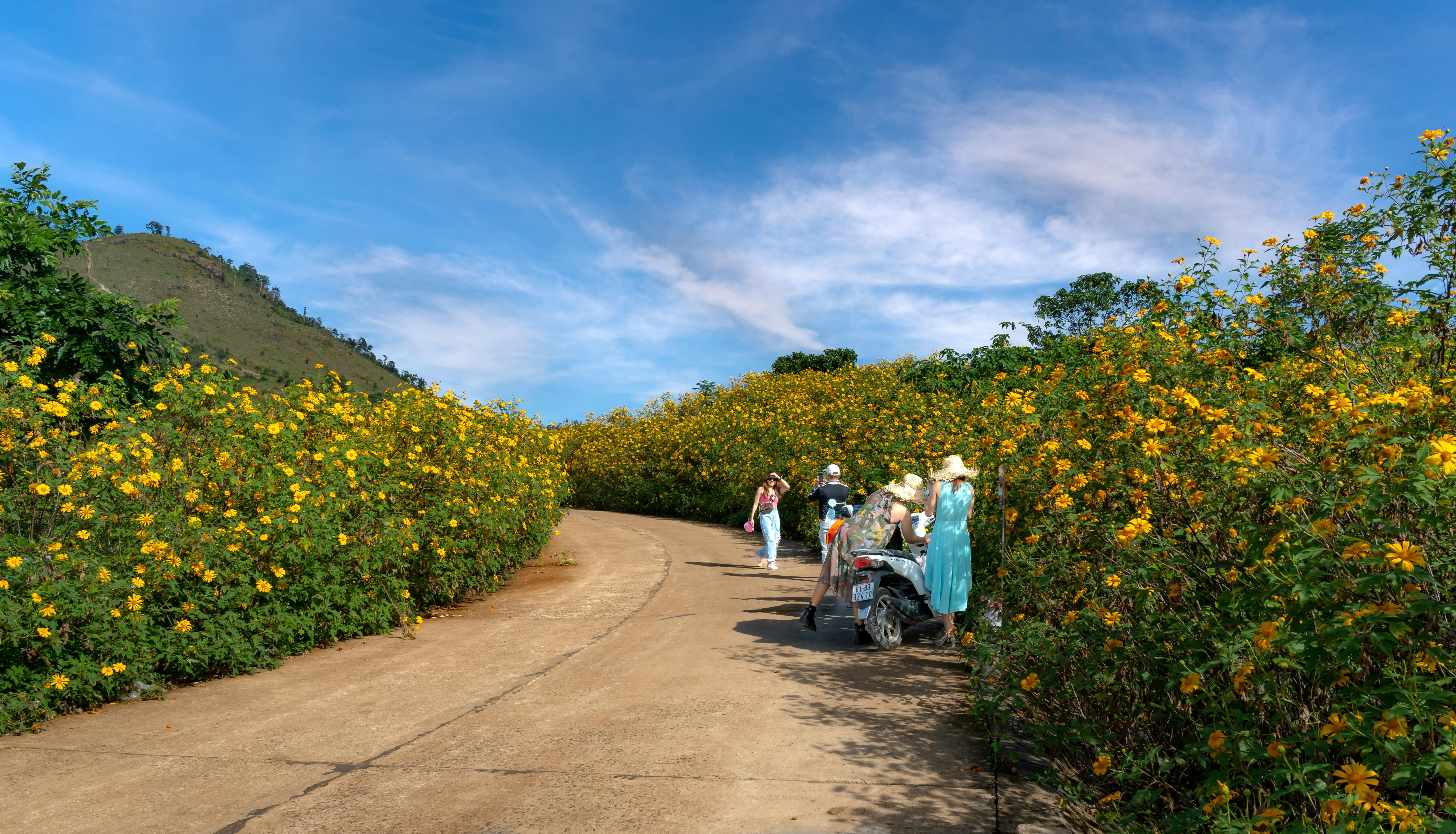 People Walking in Flowers Field in Countryside · Free Stock Photo