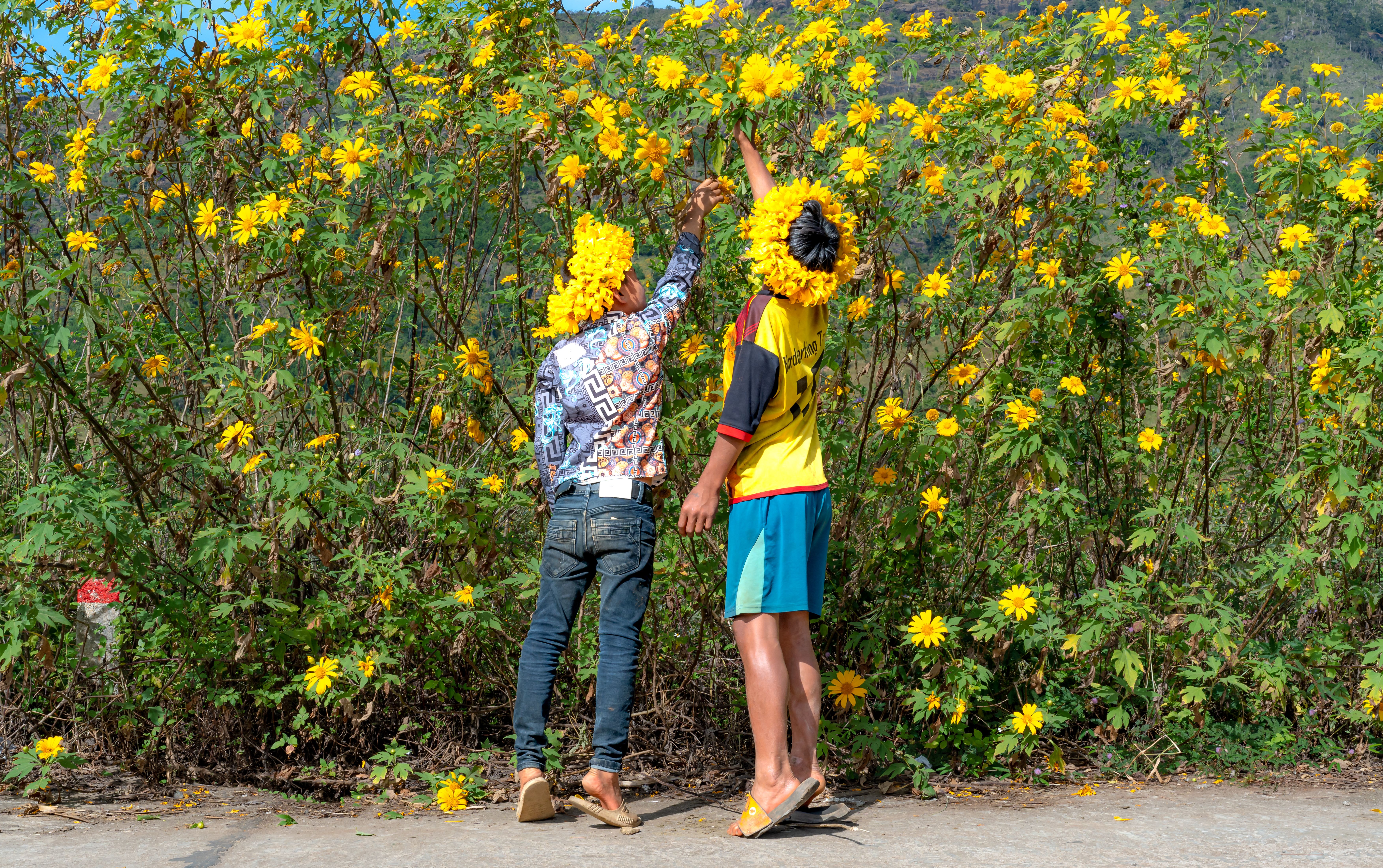 Boys Wearing Flower Wreaths Picking up Flowers · Free Stock Photo