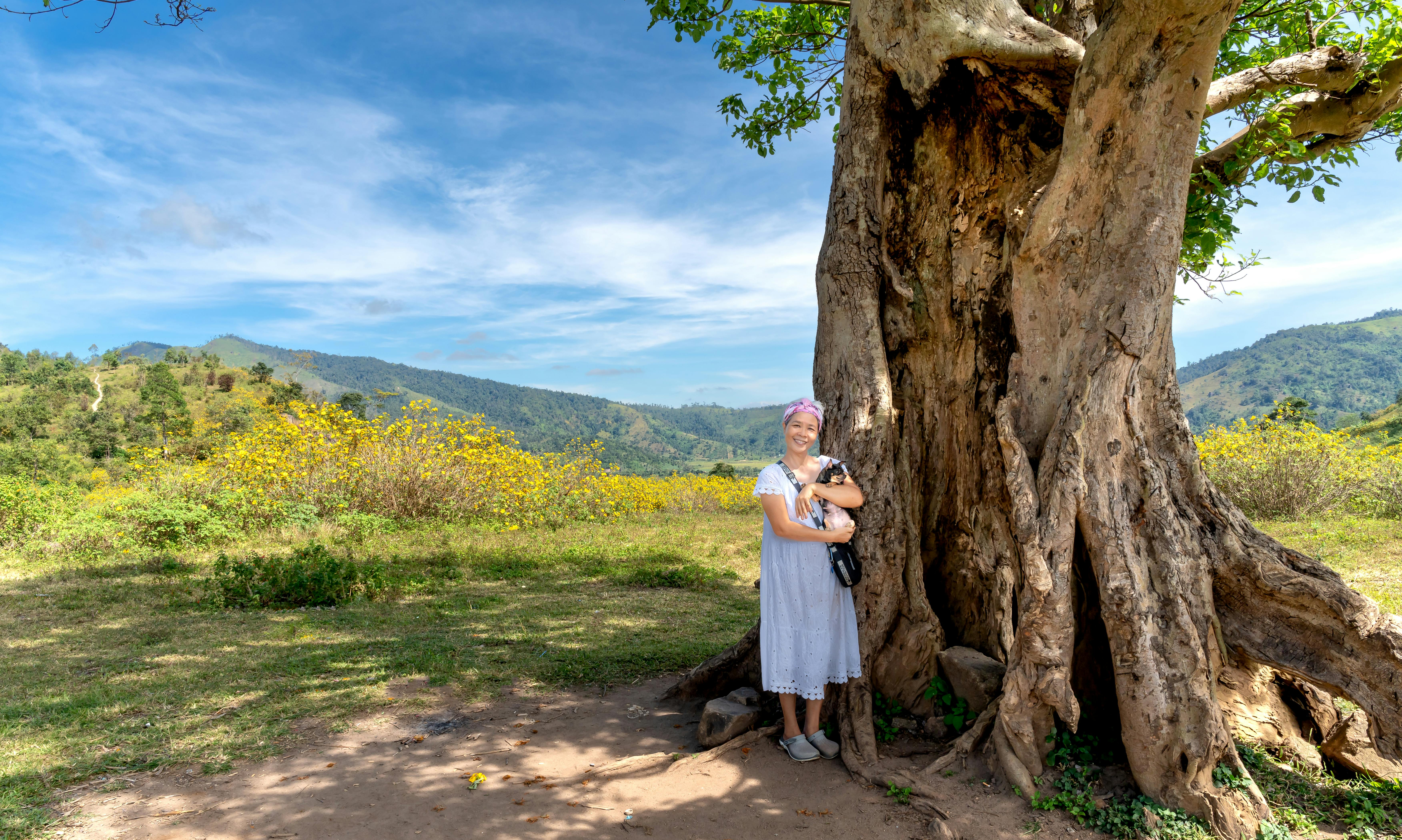 Woman Holding Dog While Standing Beside a Tree · Free Stock Photo