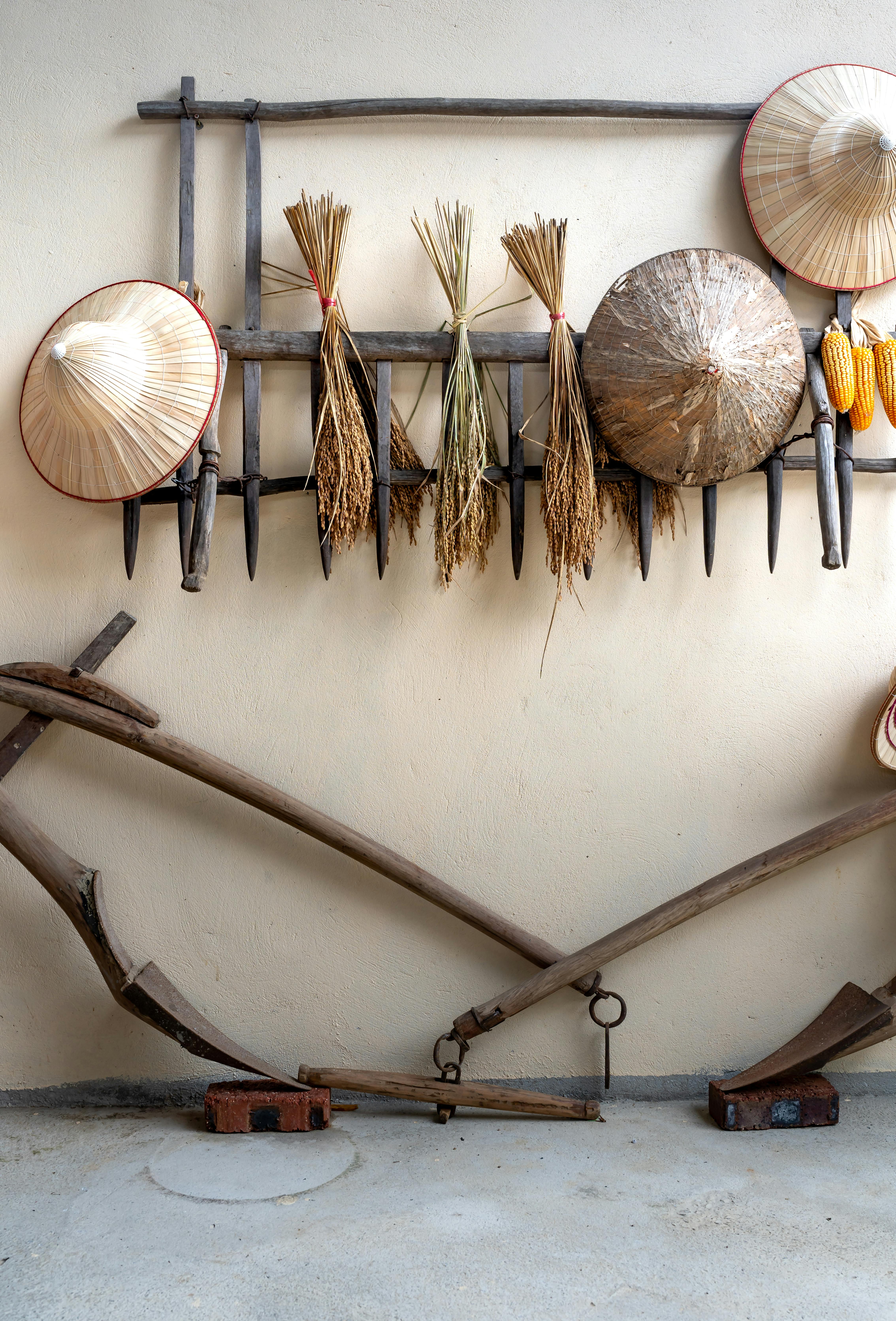 Old Agriculture Equipment · Free Stock Photo