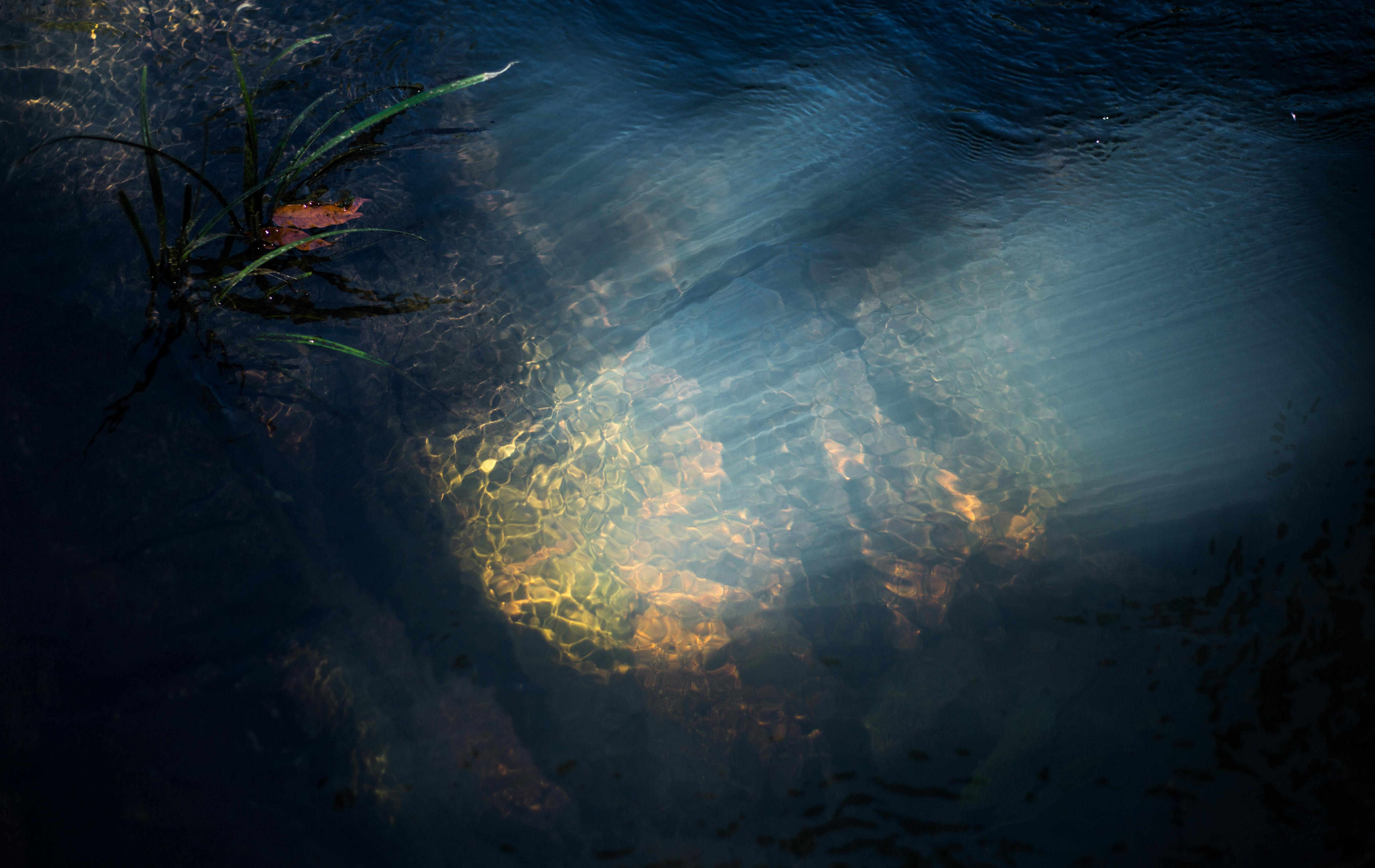 Crescent Sun Photos, Download Free Crescent Sun Stock Photos & HD Images