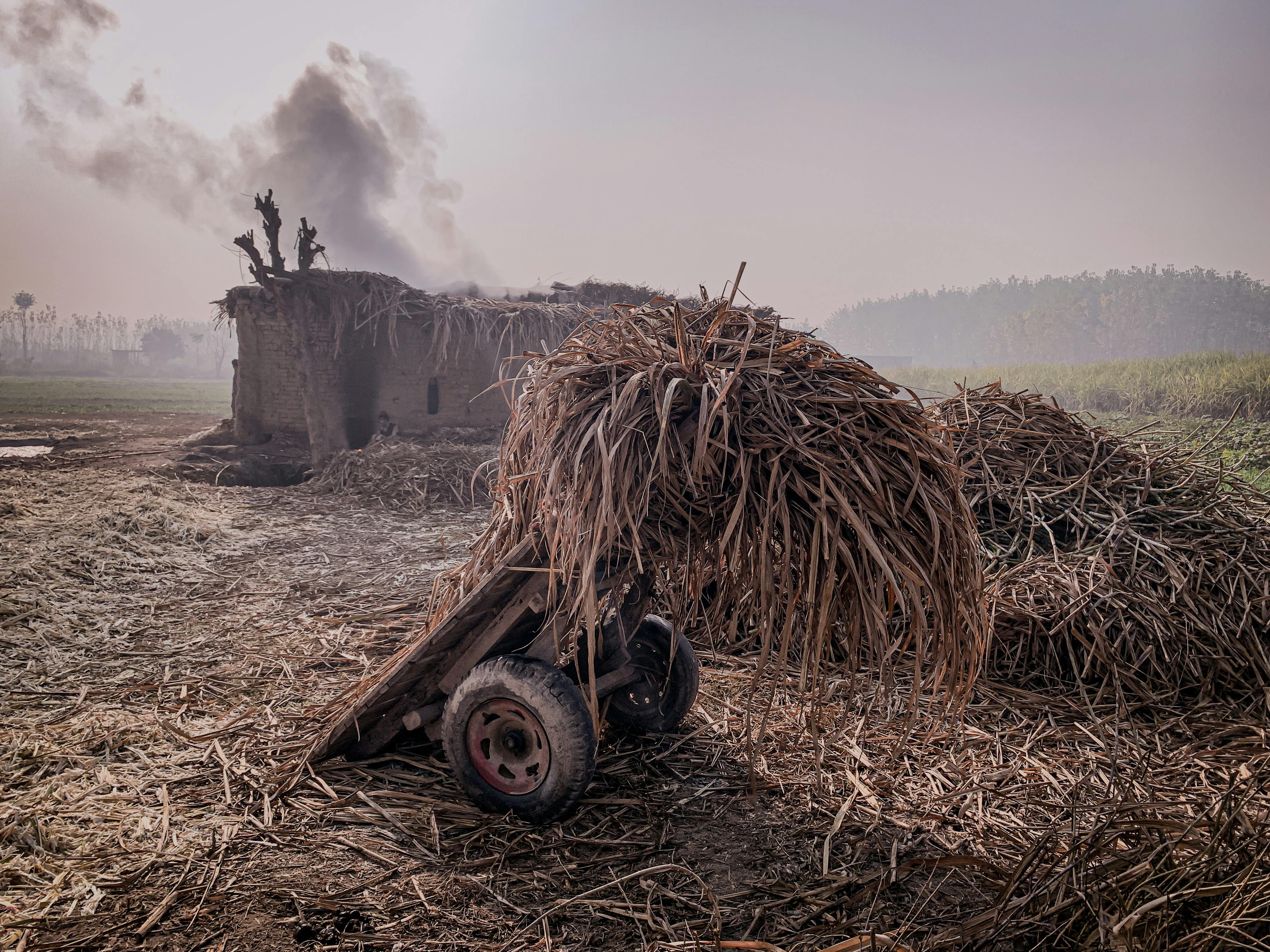 Hut and Hay on Farm · Free Stock Photo