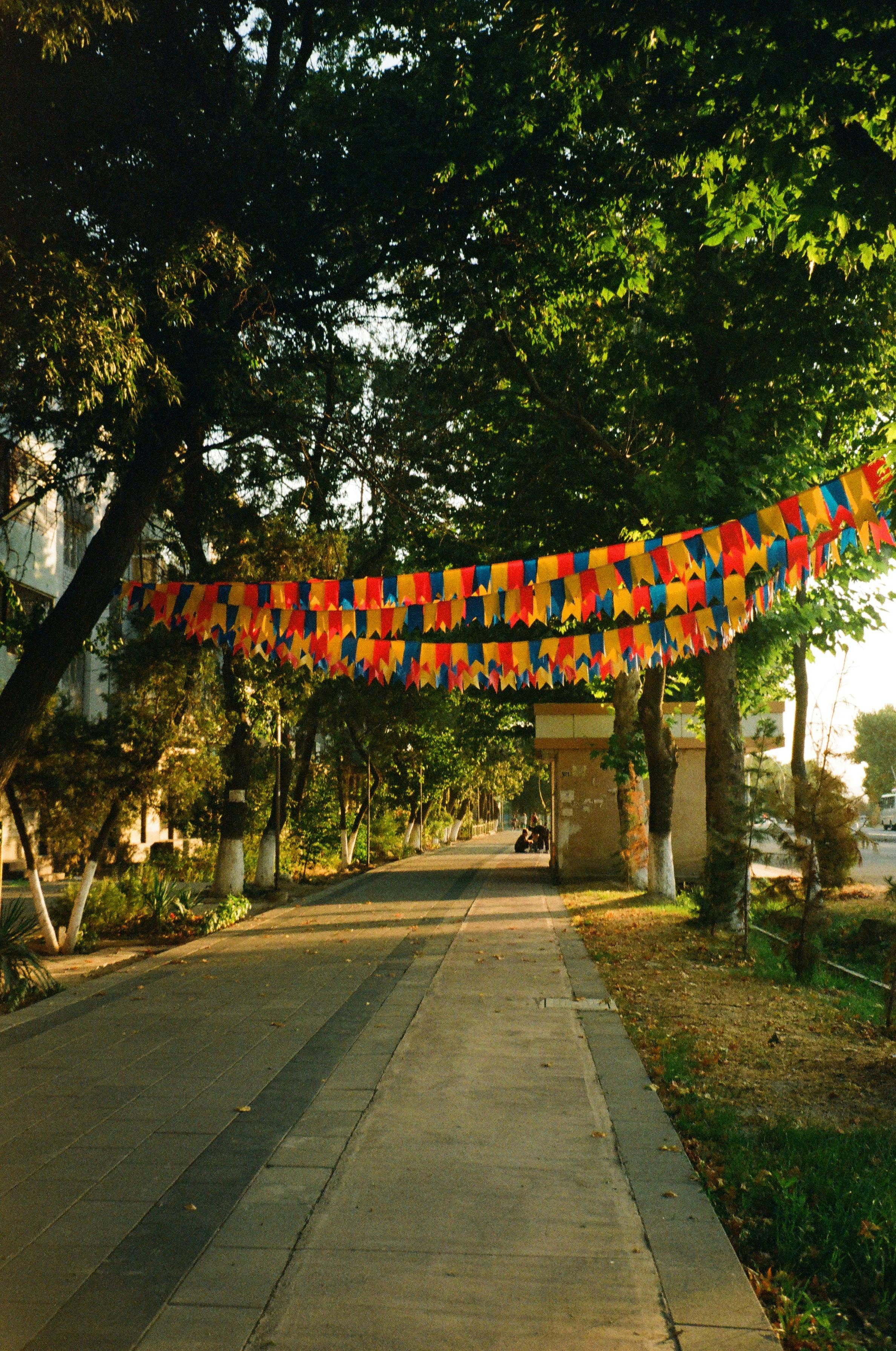 Banderitas Photos, Download The BEST Free Banderitas Stock Photos & HD ...