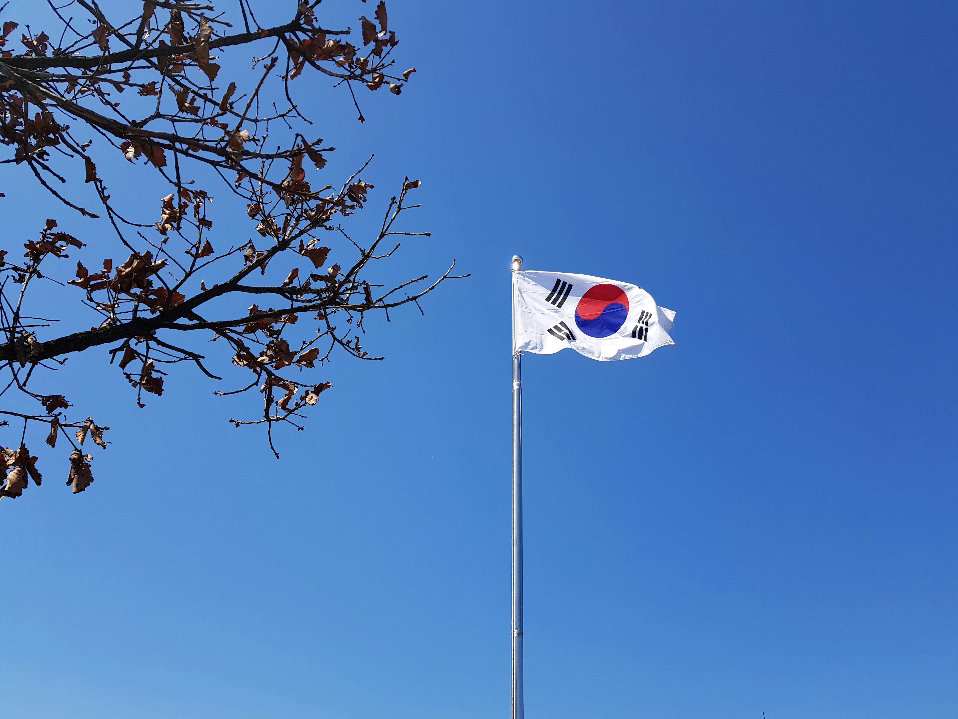 The Flag of South Korea · Free Stock Photo