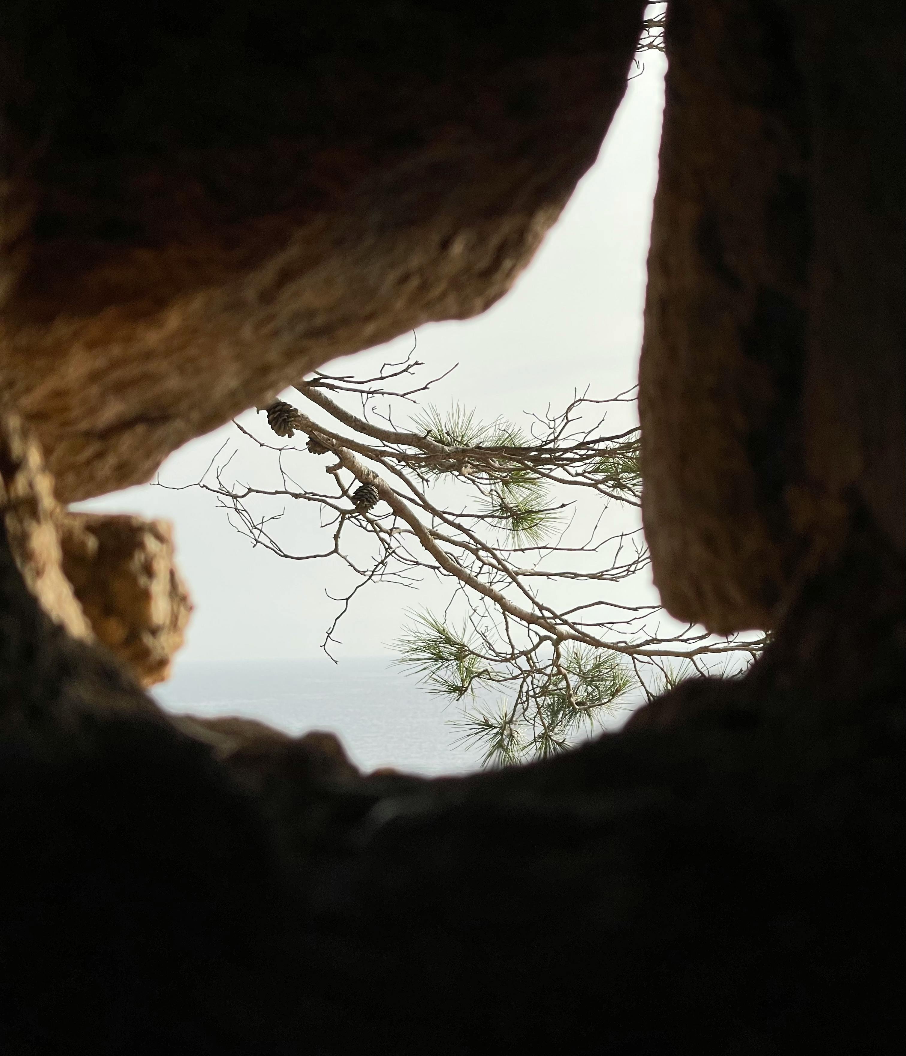 View from Cave · Free Stock Photo