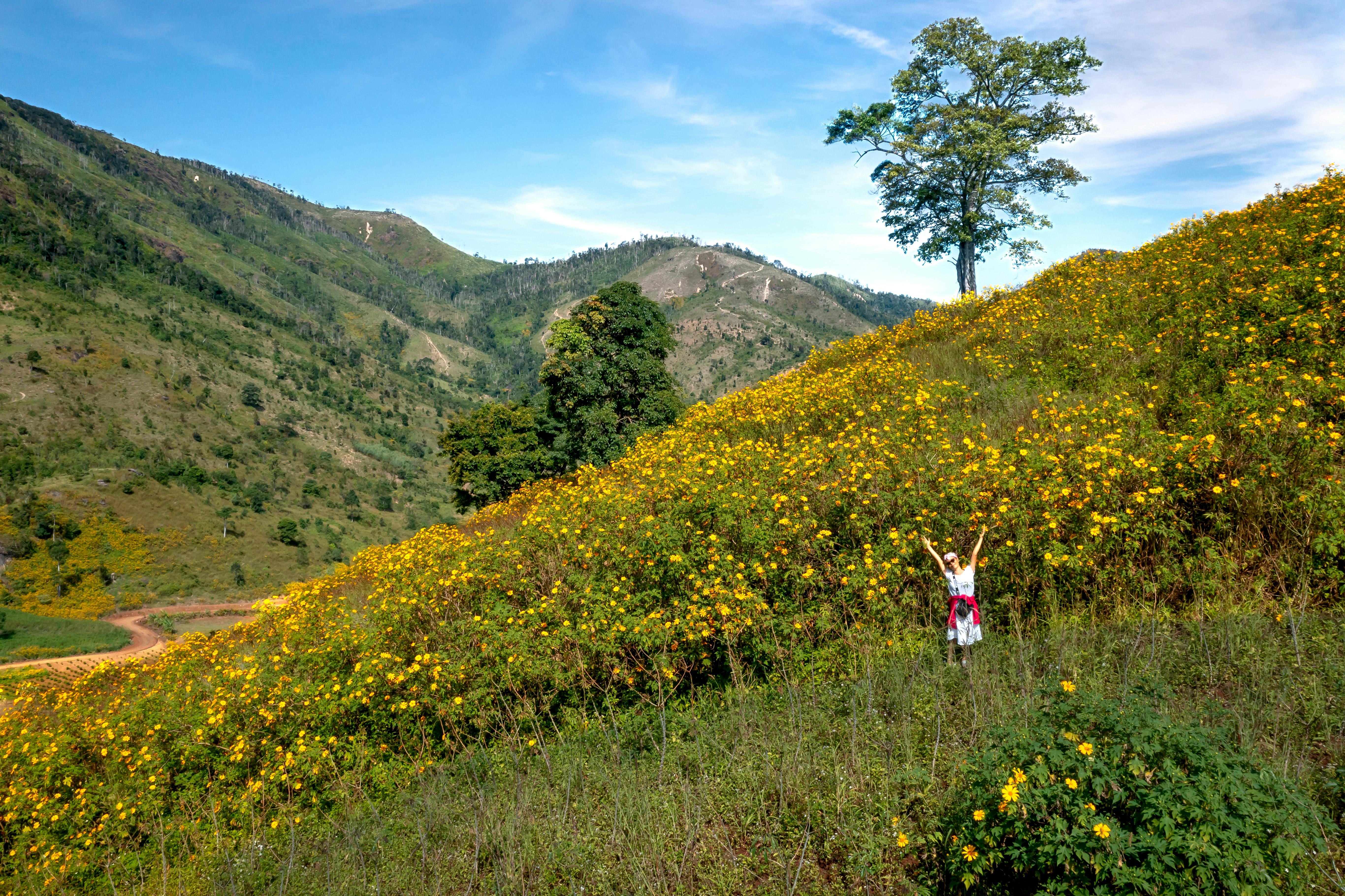 Person Posing on Hill in Mountains Landscape · Free Stock Photo