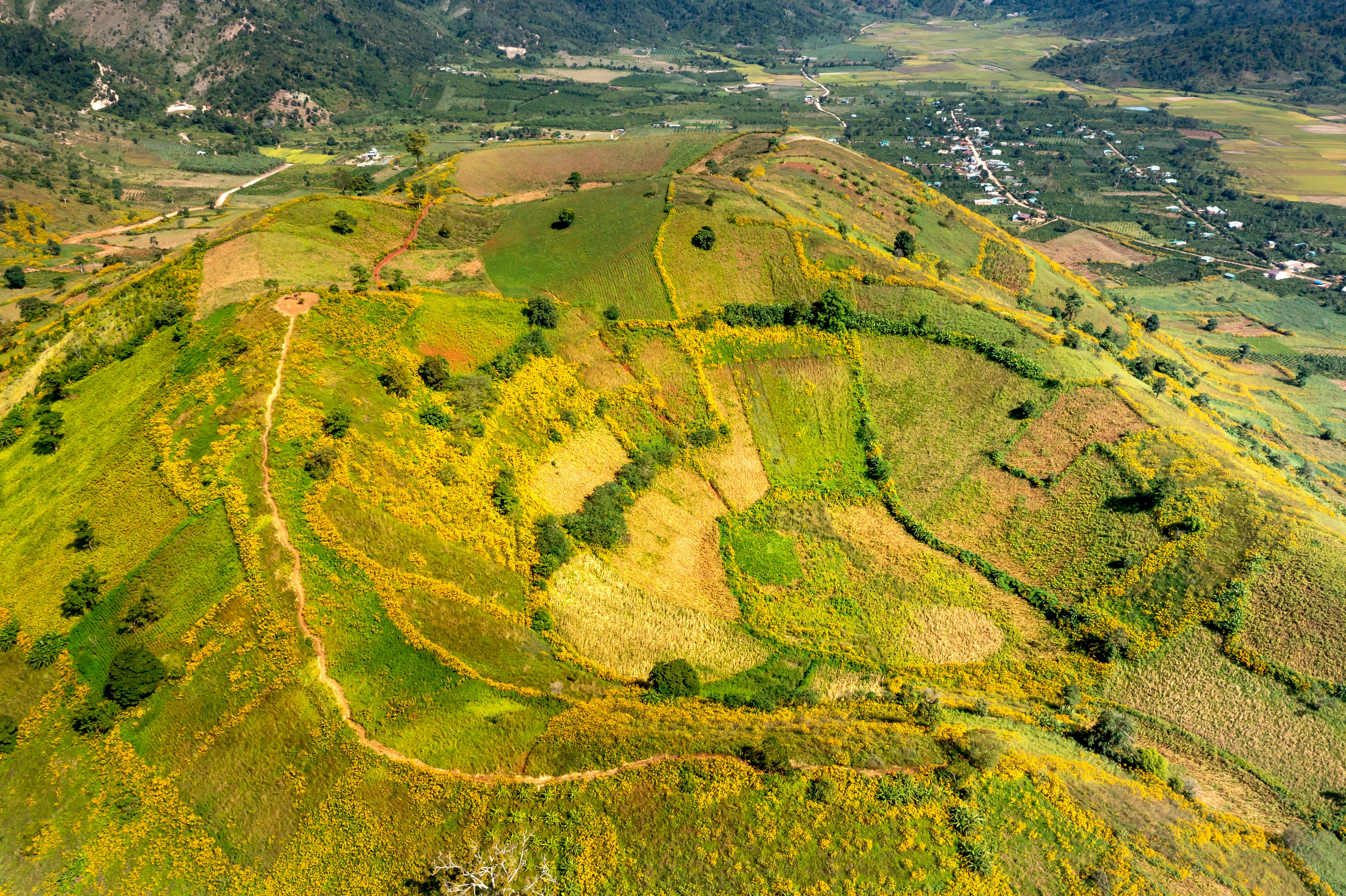 Aerial View of the Chu Dang Ya Volcano in Vietnam · Free Stock Photo