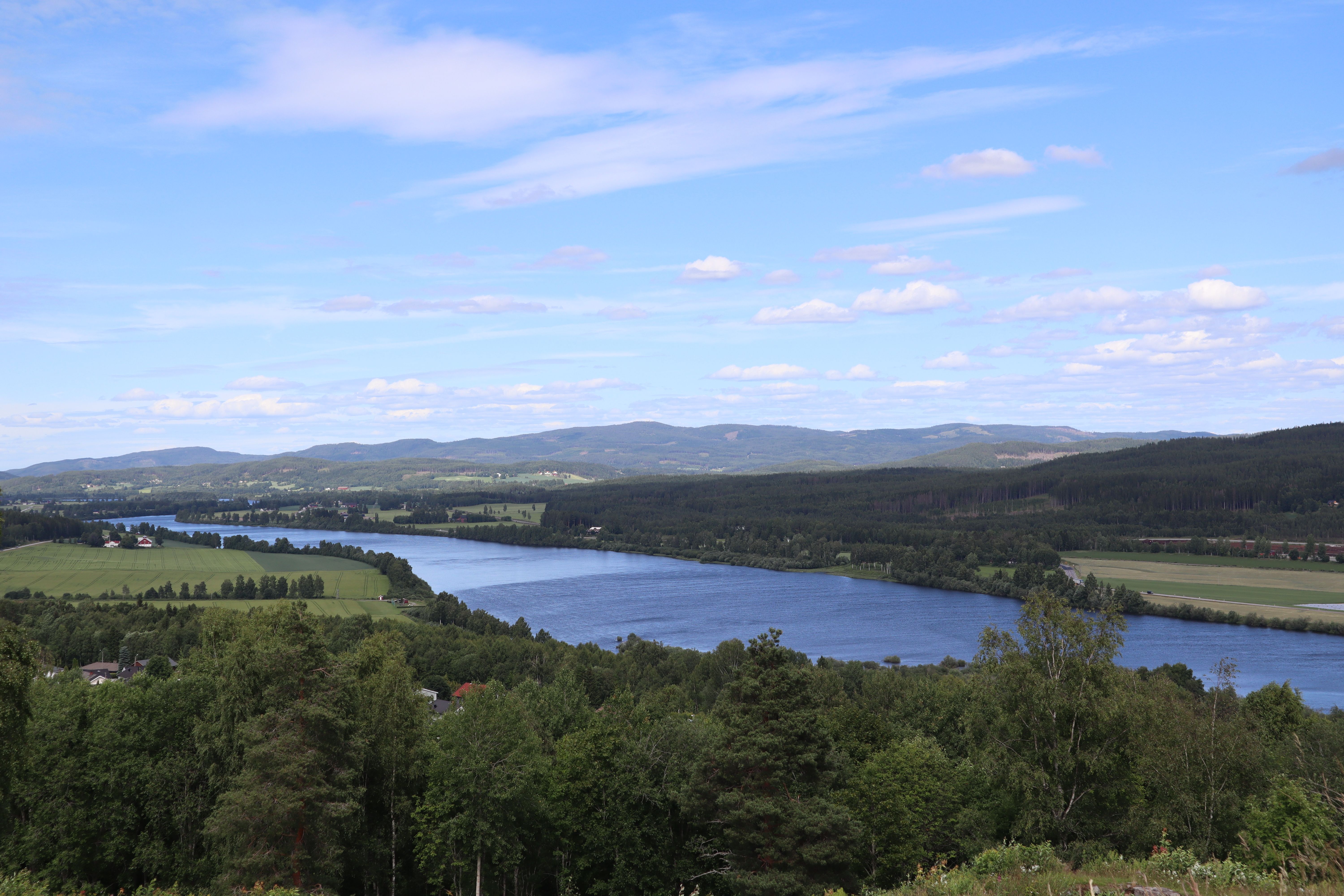 Forest Mountains Photos, Download The BEST Free Forest Mountains Stock ...