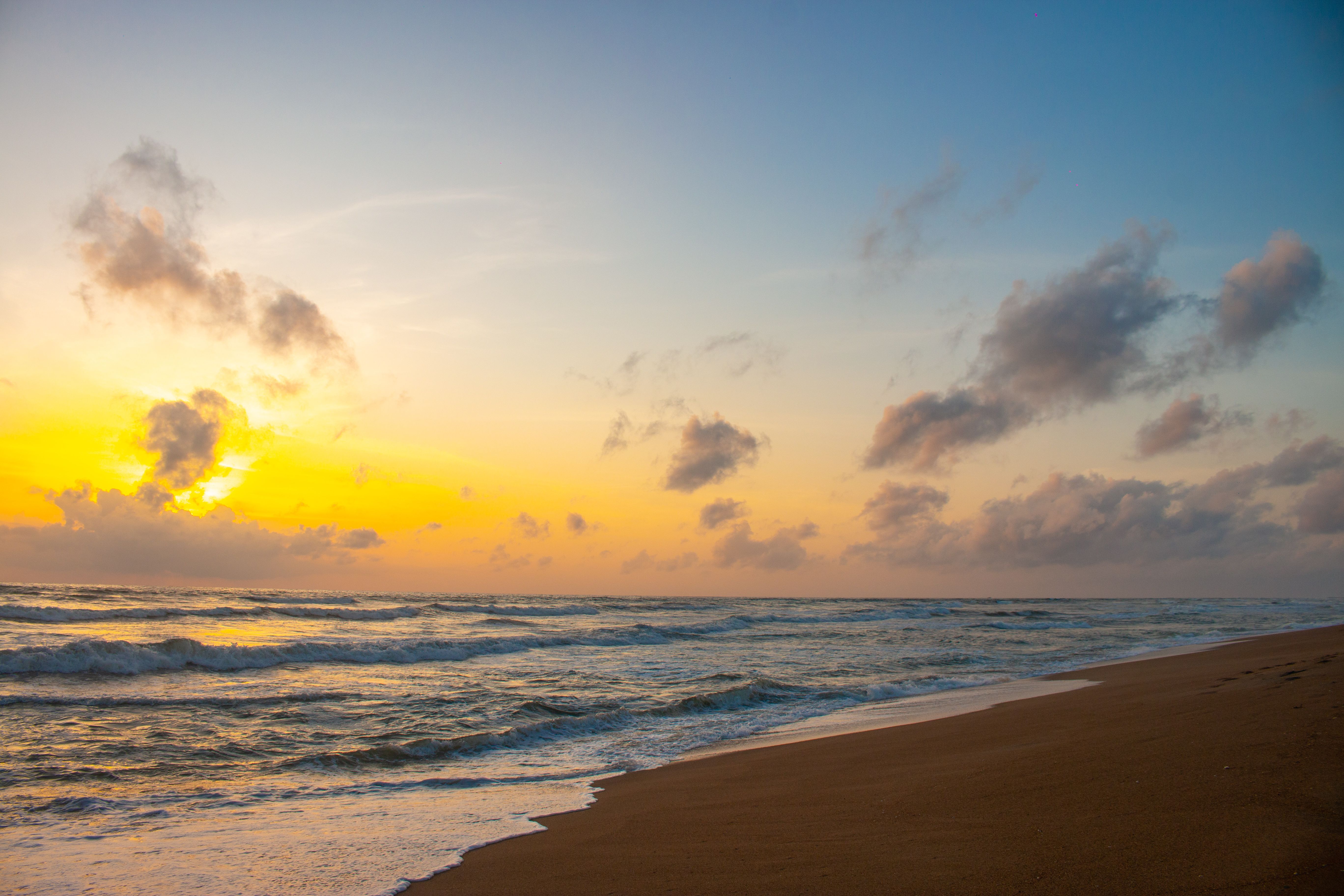 The Beach During the Golden Hour · Free Stock Photo