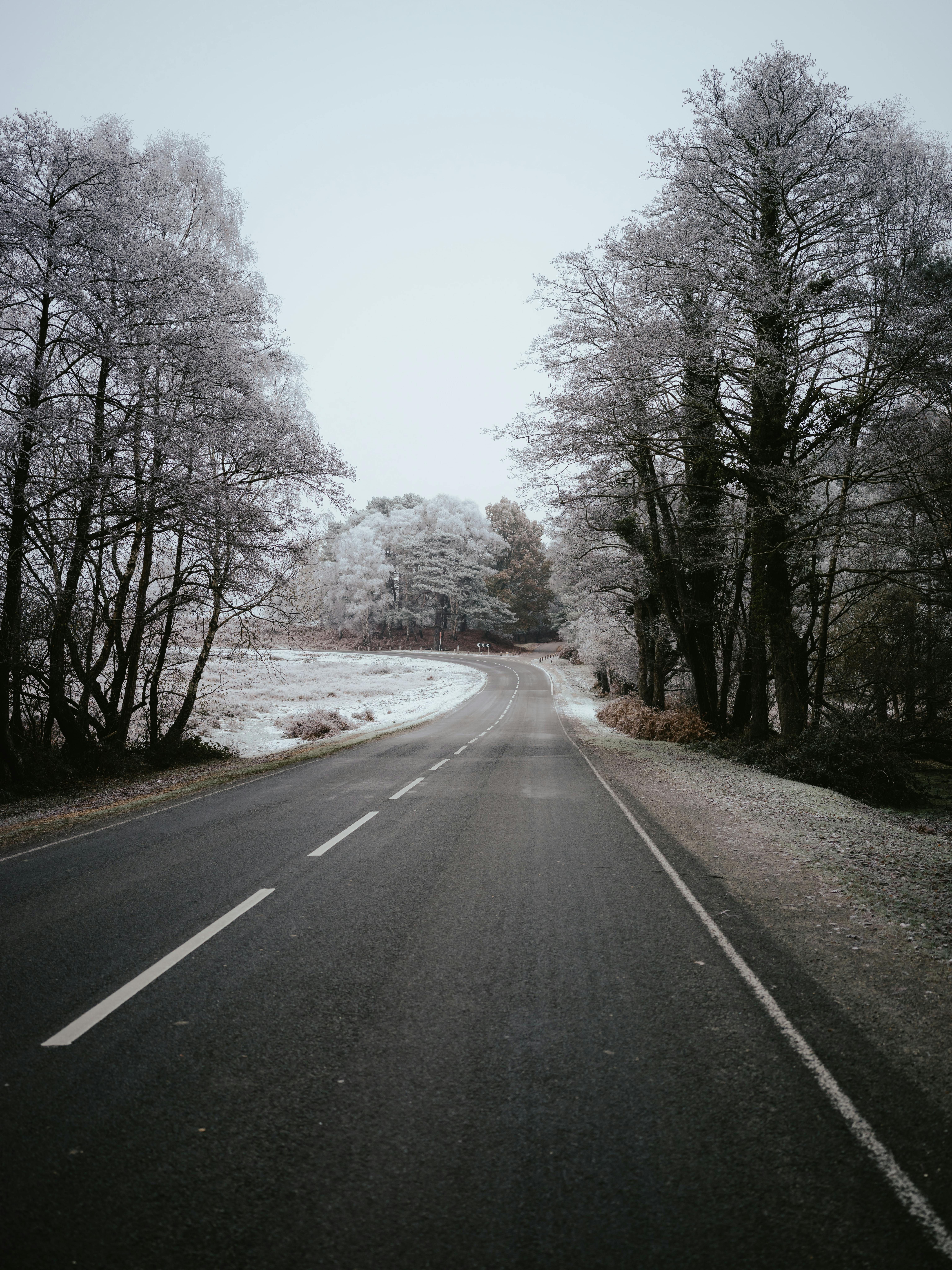 Empty Asphalt Road in Winter · Free Stock Photo
