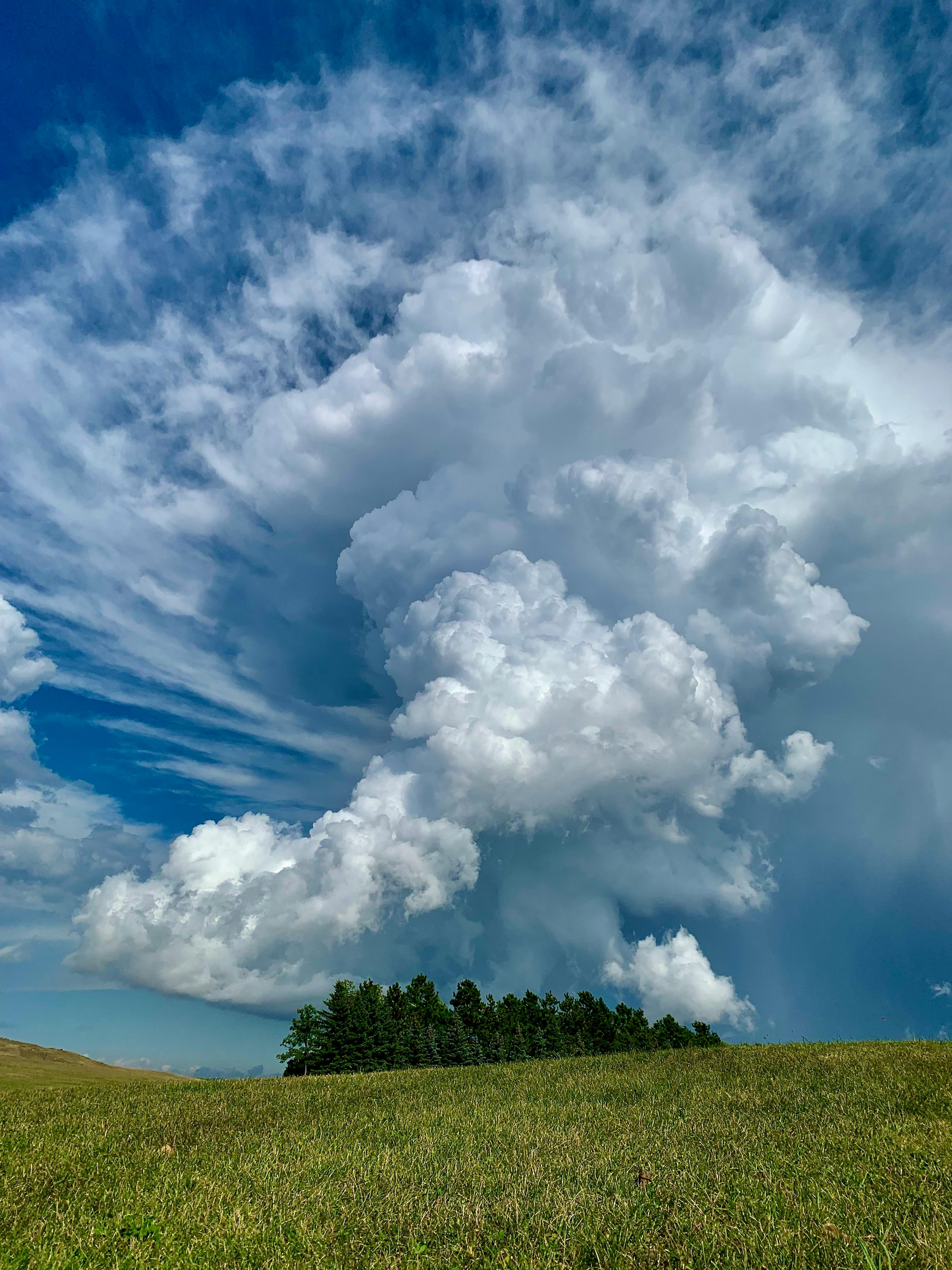 Trees on Hill under Clouds · Free Stock Photo