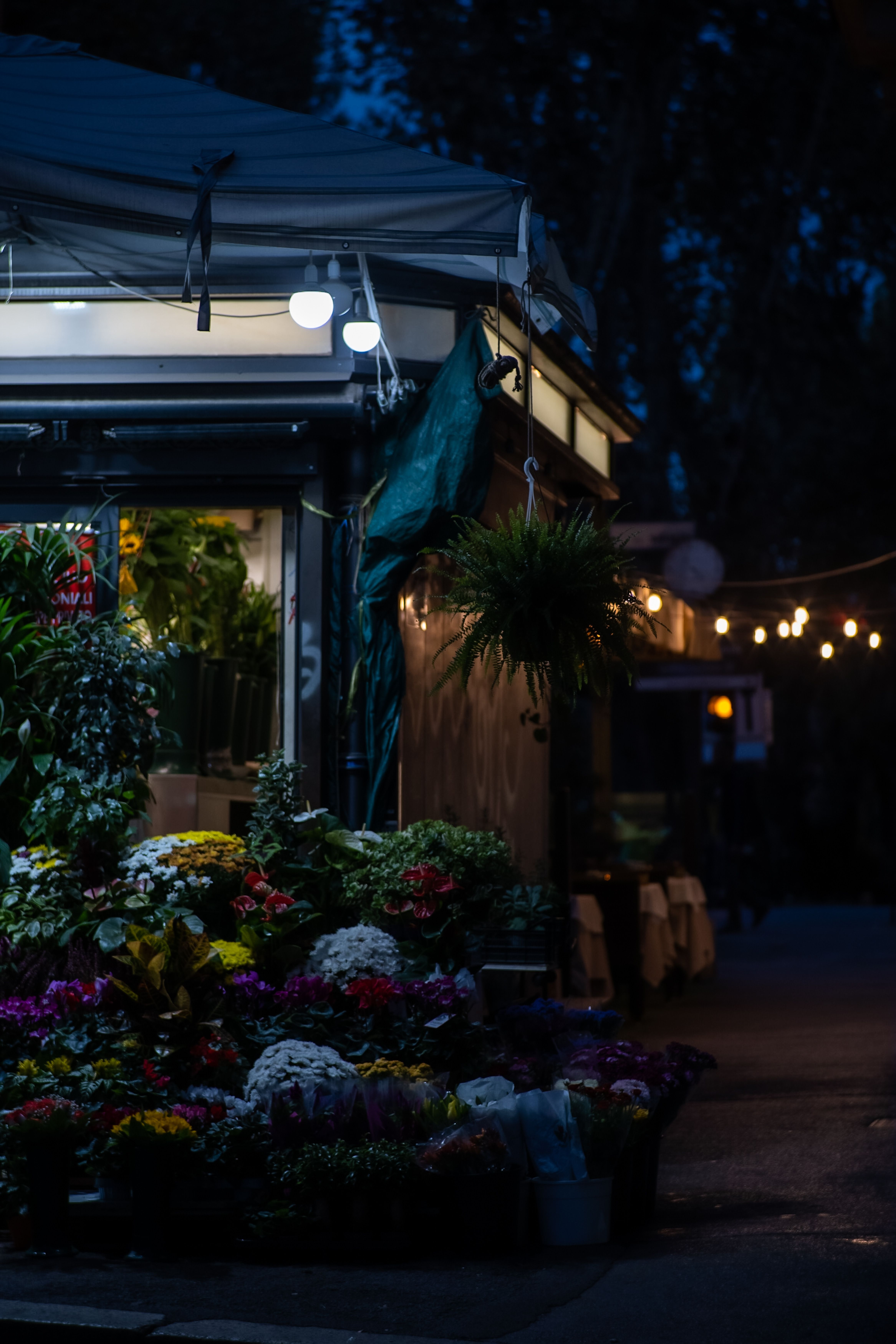 Man Selling Flowers on Sidewalk · Free Stock Photo