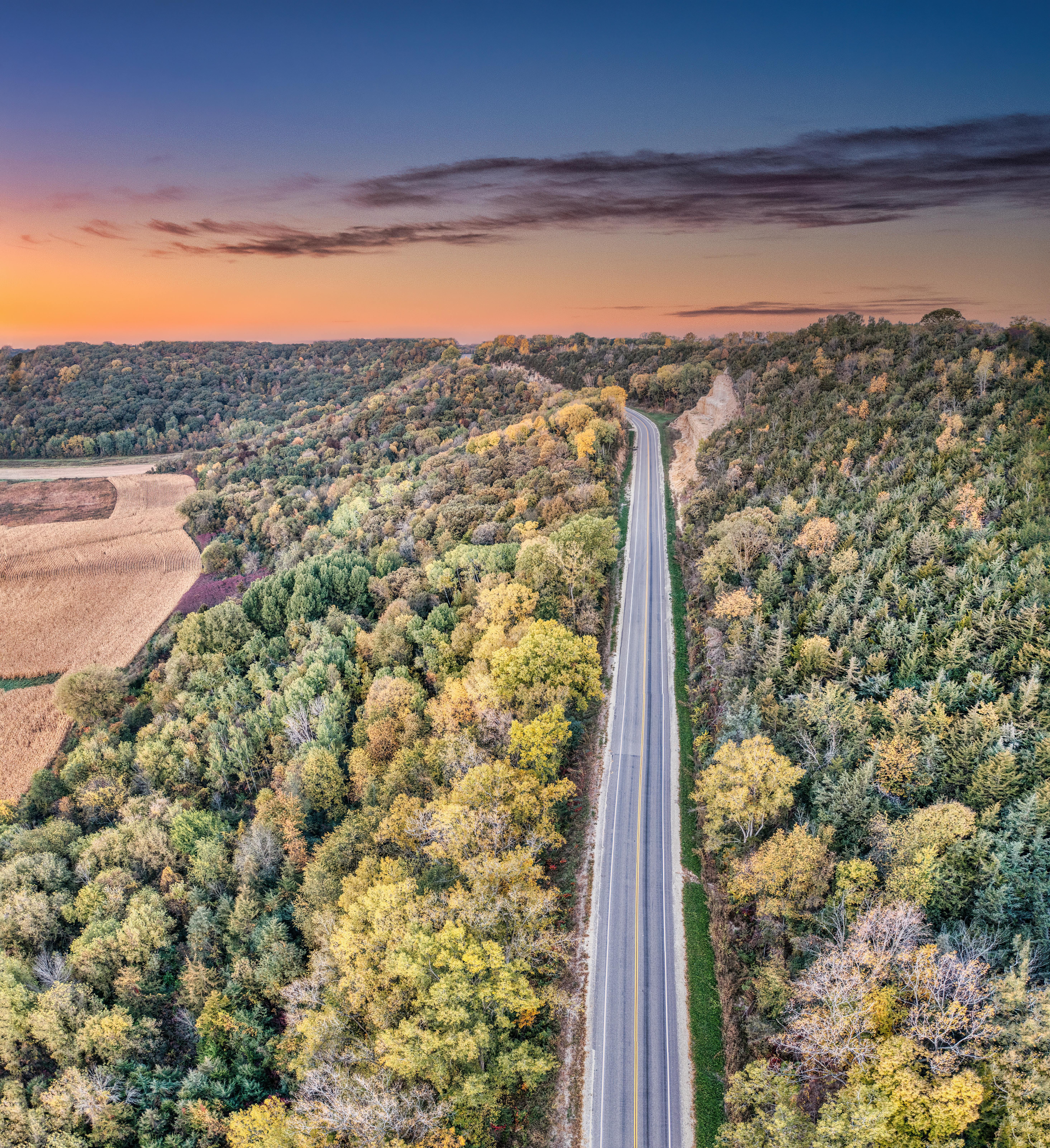 Road in Between Trees · Free Stock Photo