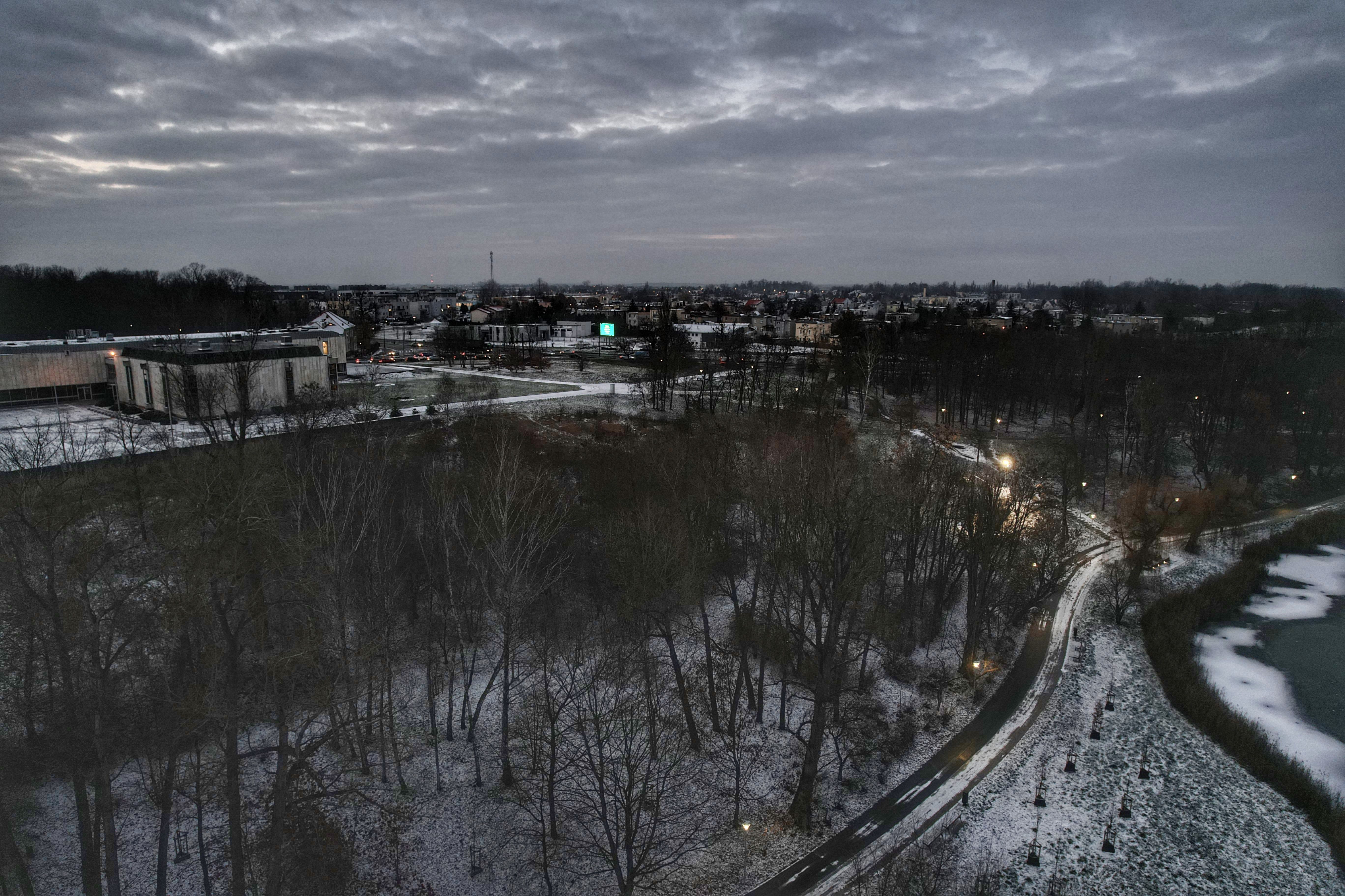 Aerial View of Leafless Trees on Snow Covered Land During Winter · Free ...