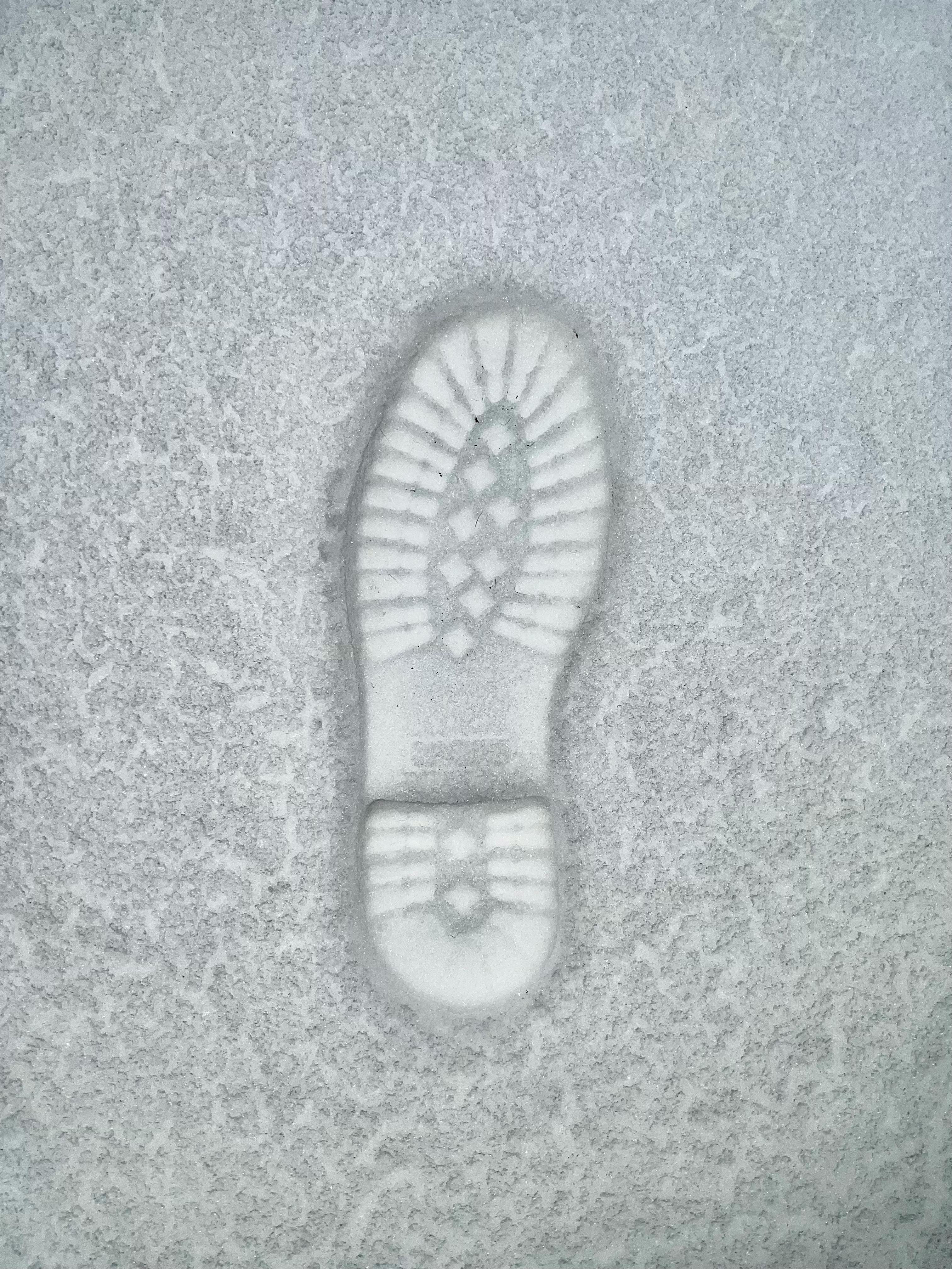 Footprint On Snow Photos, Download The BEST Free Footprint On Snow ...