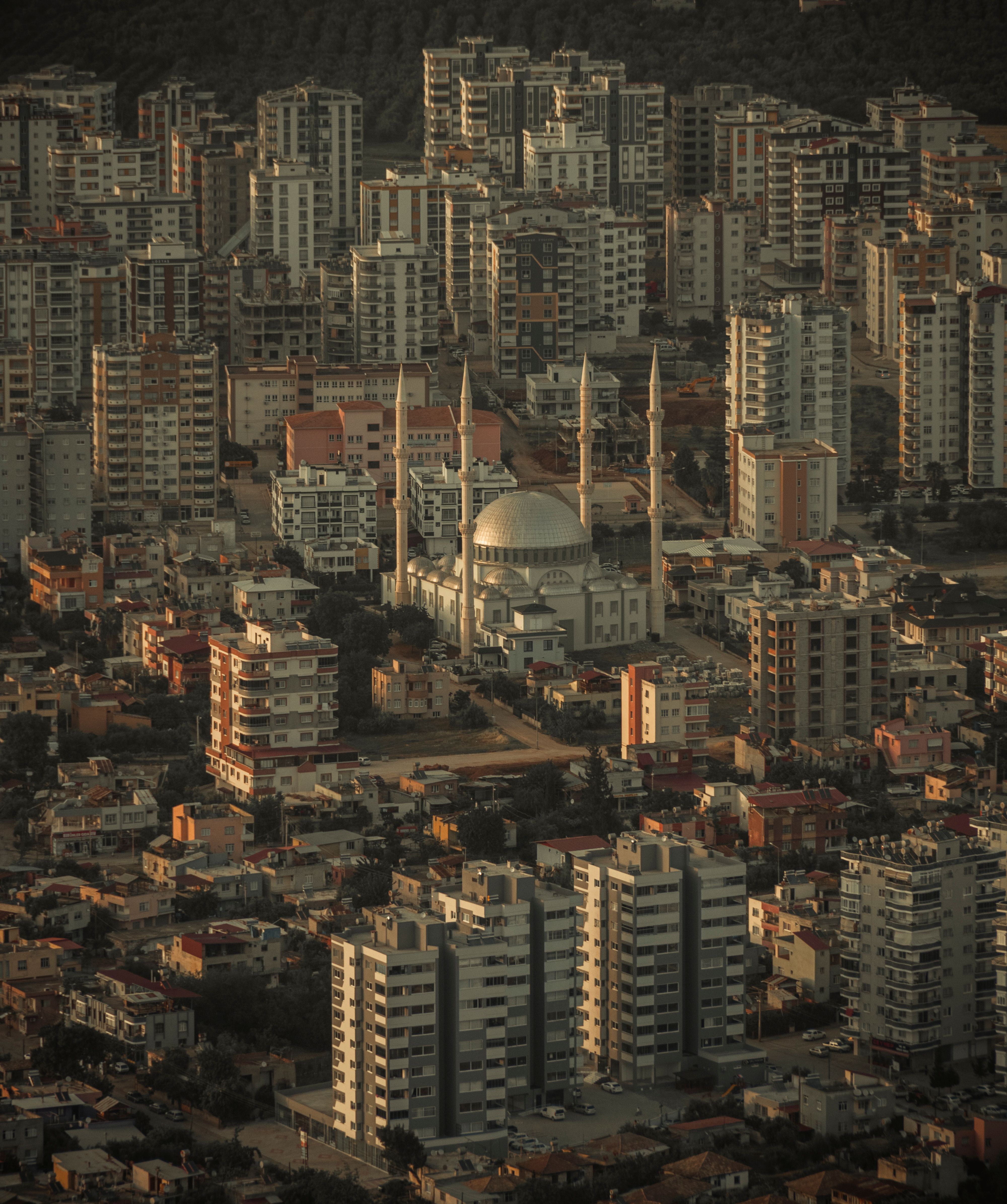 Jungle Mosque Photos, Download The BEST Free Jungle Mosque Stock Photos ...