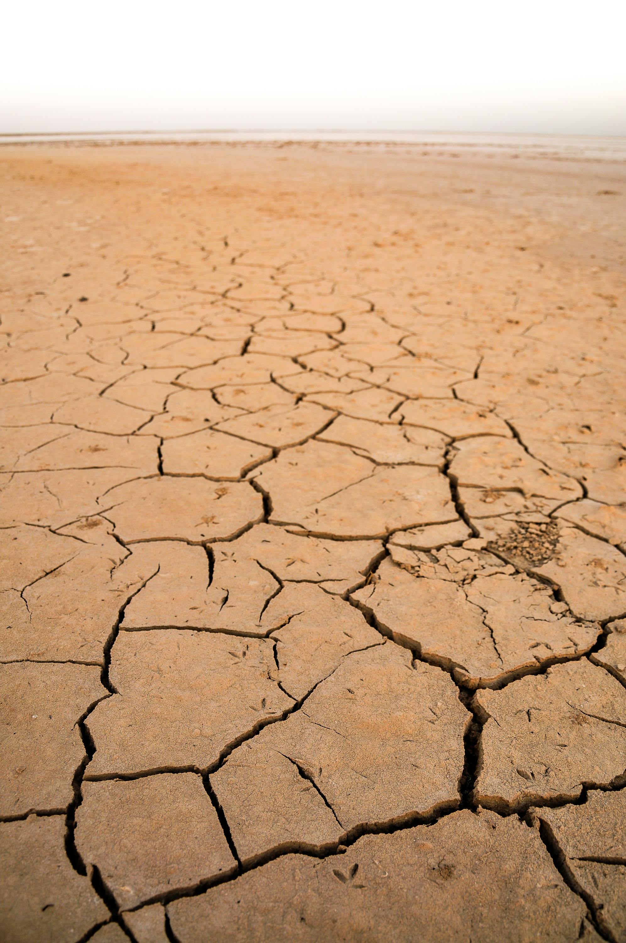 Infertility Photos, Download The BEST Free Infertility Stock Photos ...