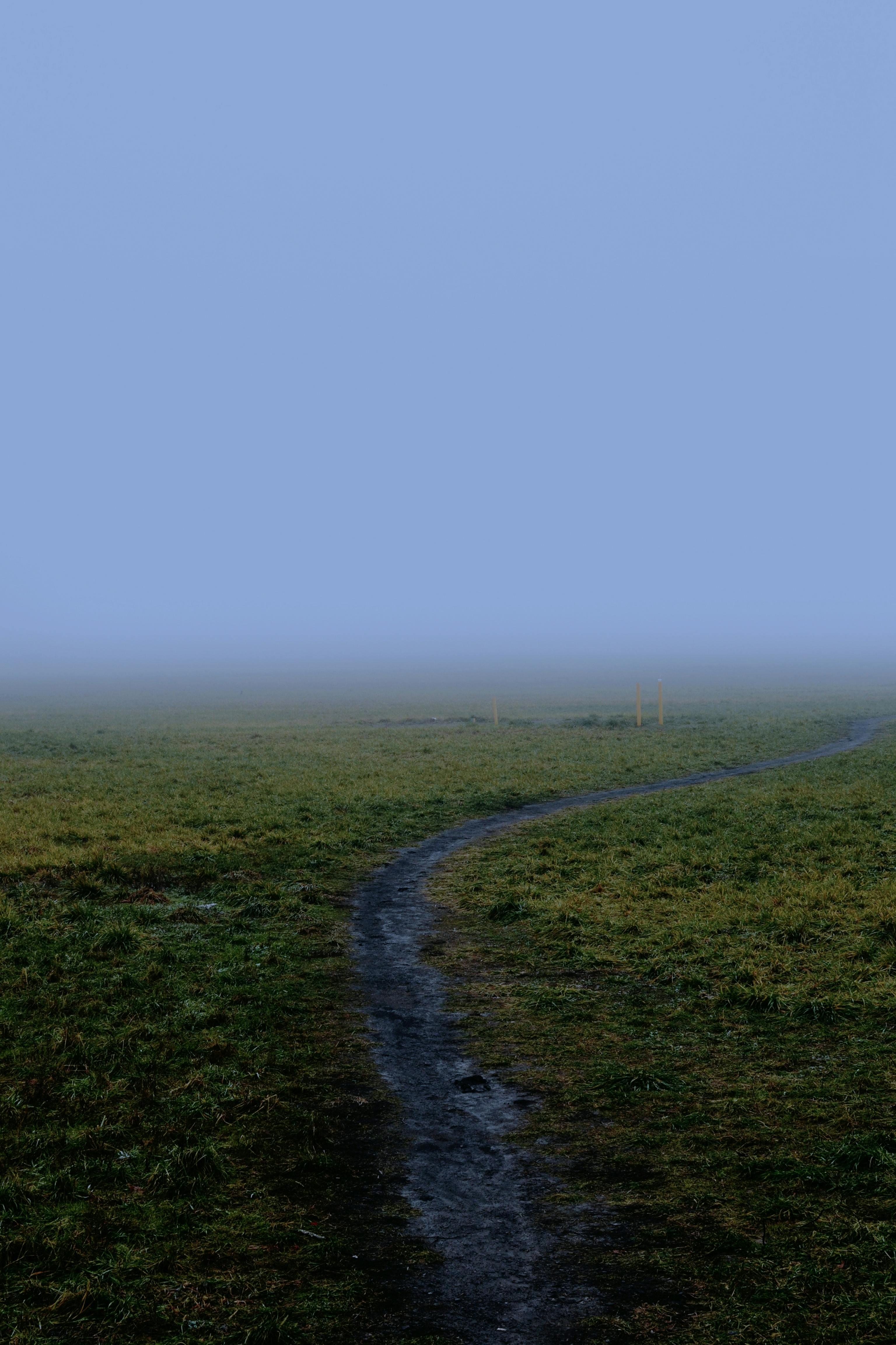 Unpaved Pathway in the Forest · Free Stock Photo