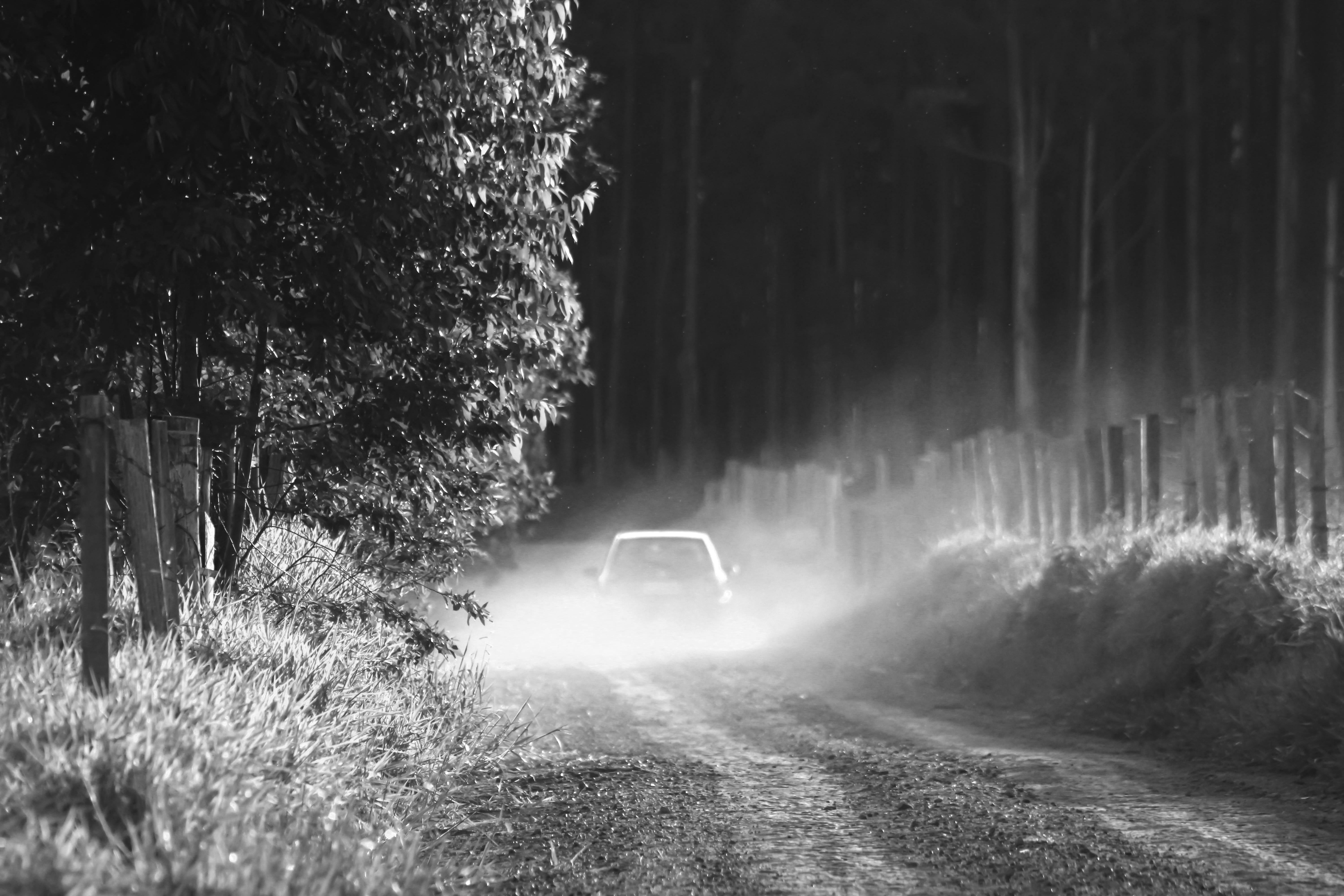 Dust Left by a Car Driving Along a Dirt Road · Free Stock Photo