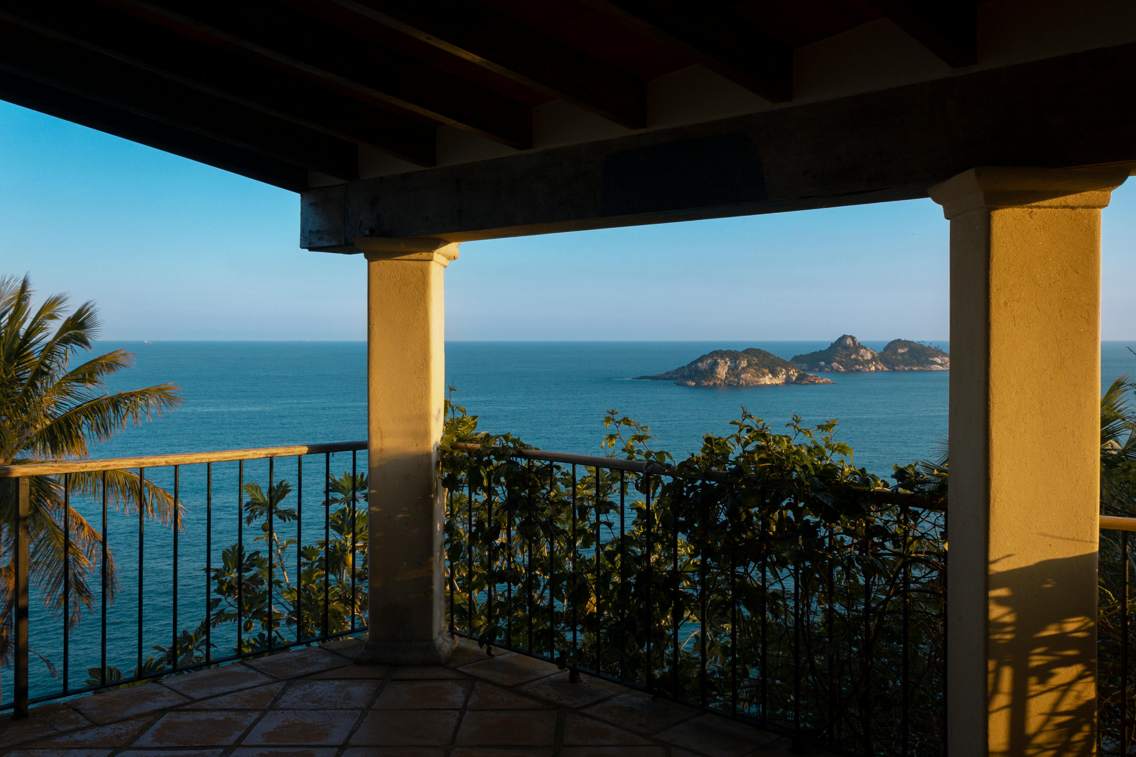 Summer wind · Free Stock Photo