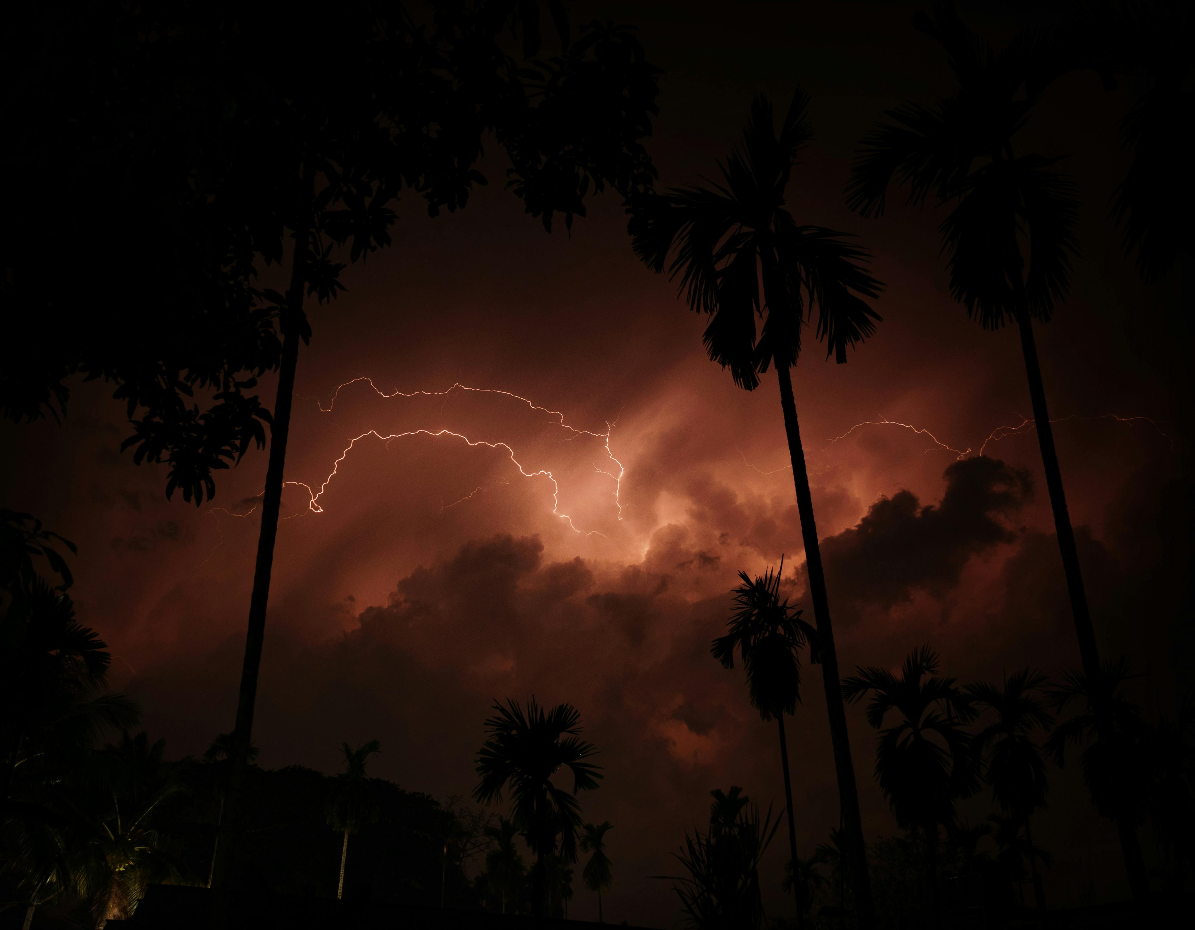 4k Wallpaper Landscape Coconut Tree And Beach Photos, Download Free 4k ...