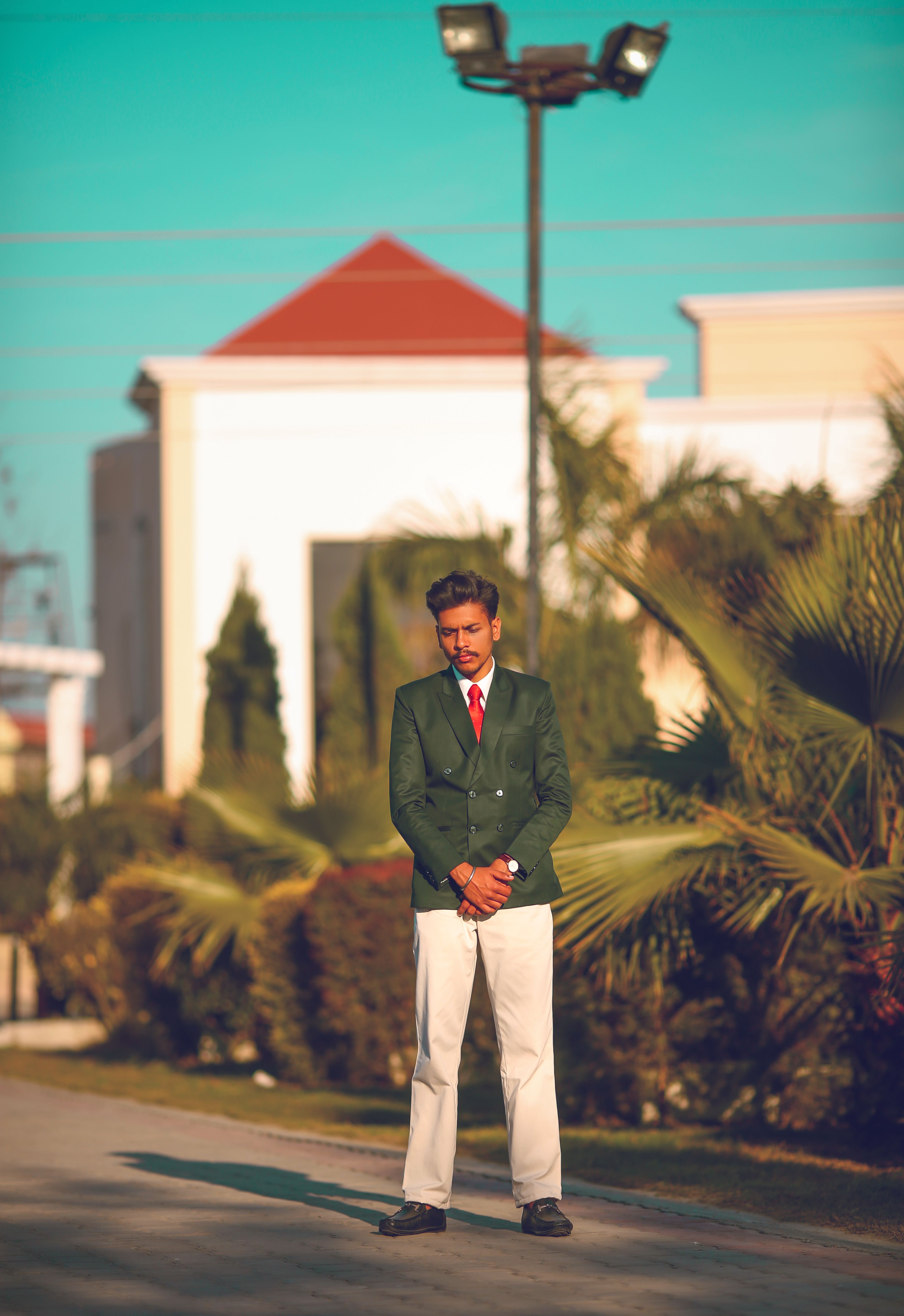 Man Standing on Road Near Bushes · Free Stock Photo