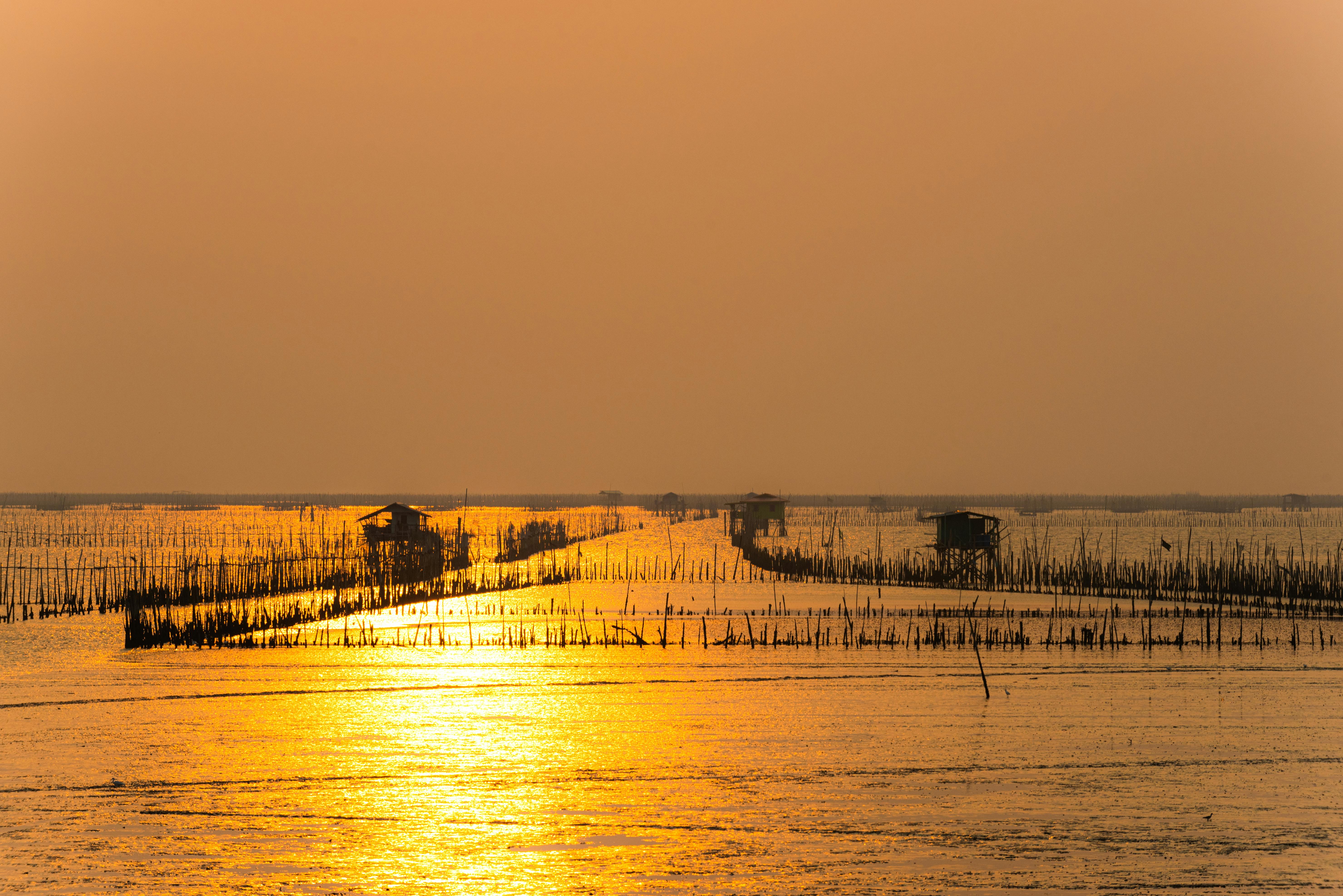 Fish Fences in Sea at Sunrise · Free Stock Photo